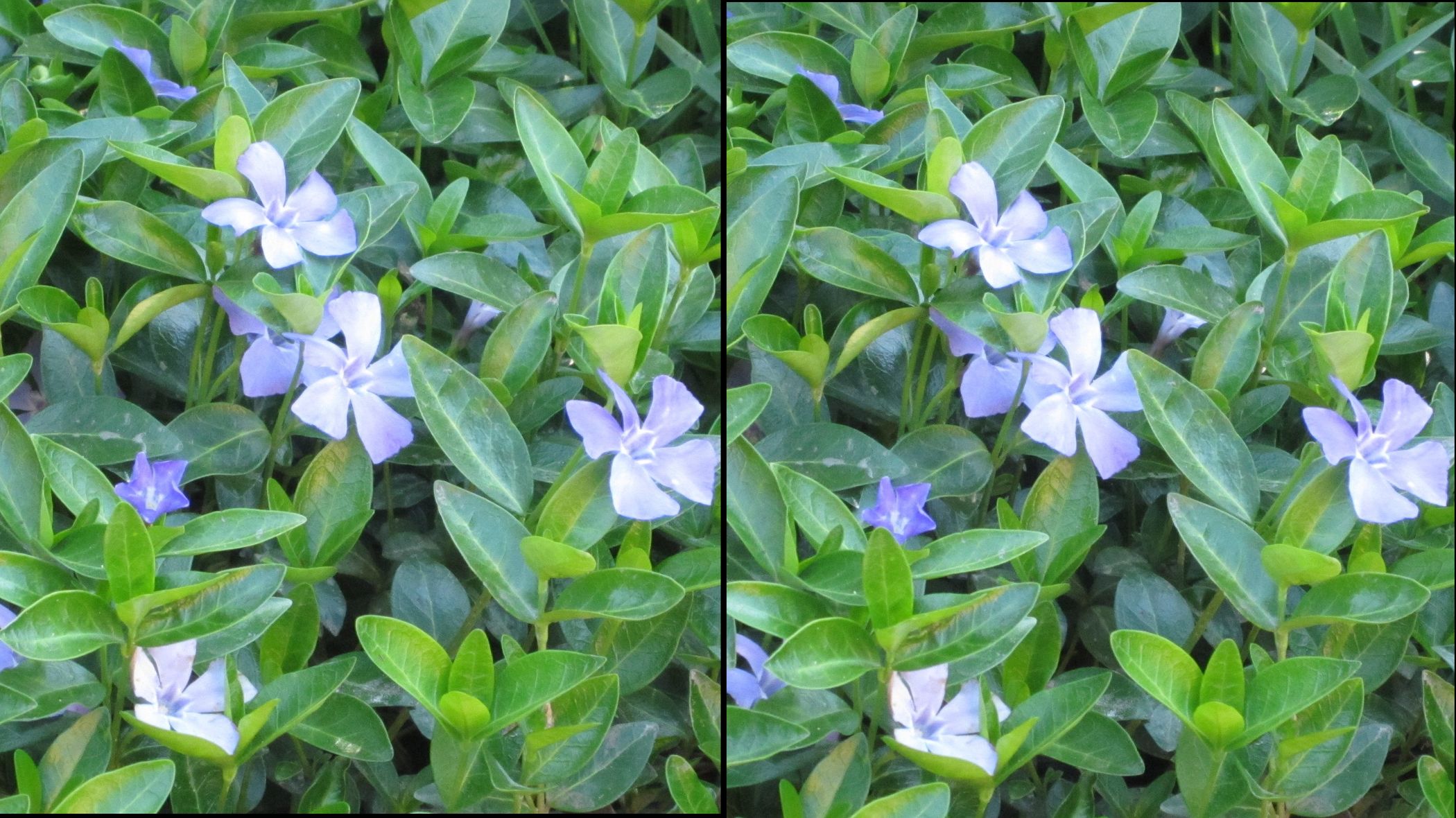 3D Stereoscopic Photography : 5 Steps (with Pictures) - Instructables