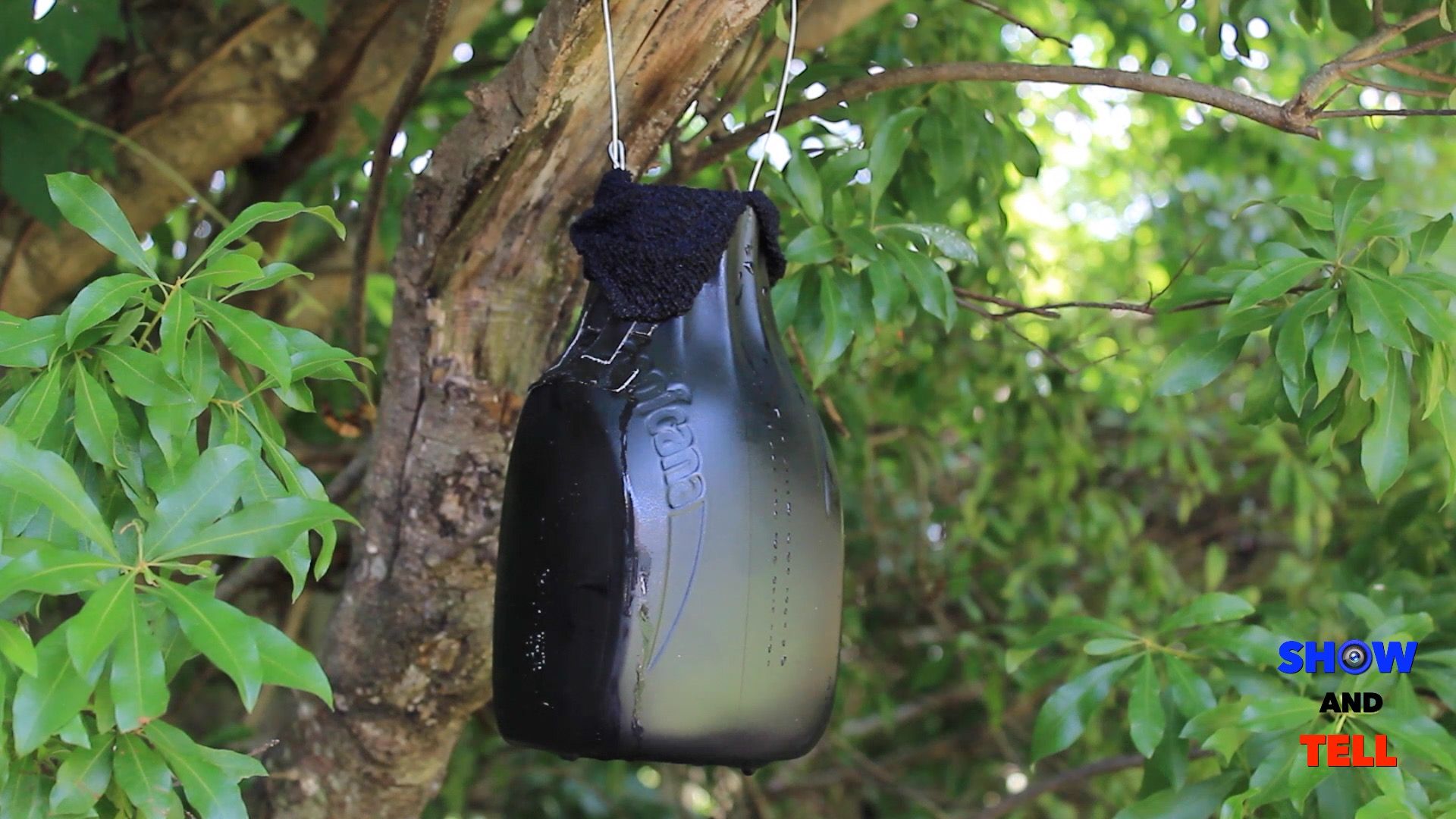 How to Make an Ovitrap Mosquito Trap : 12 Steps (with Pictures ...