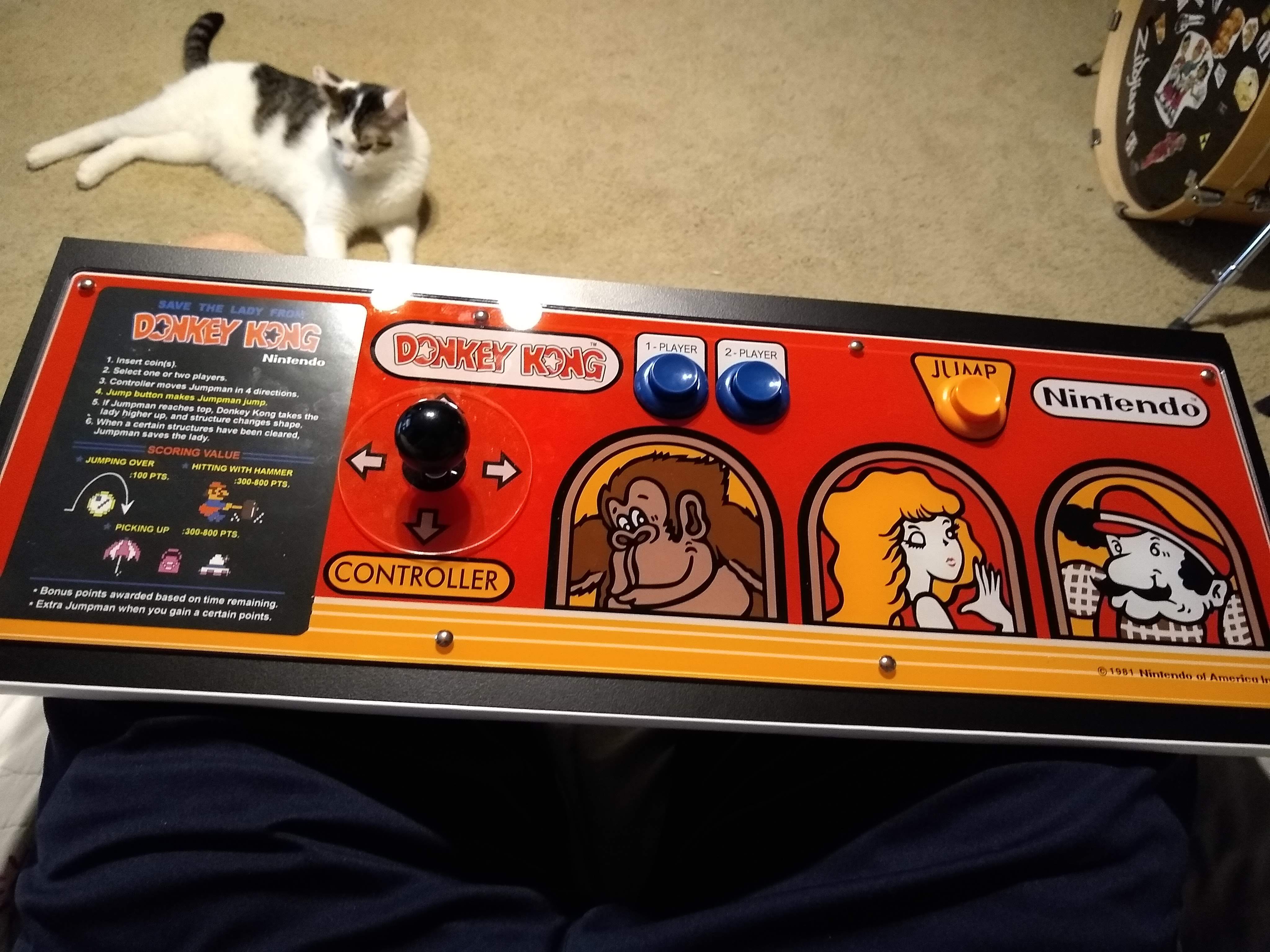 Donkey Kong Arcade Scratch Build : 13 Steps - Instructables