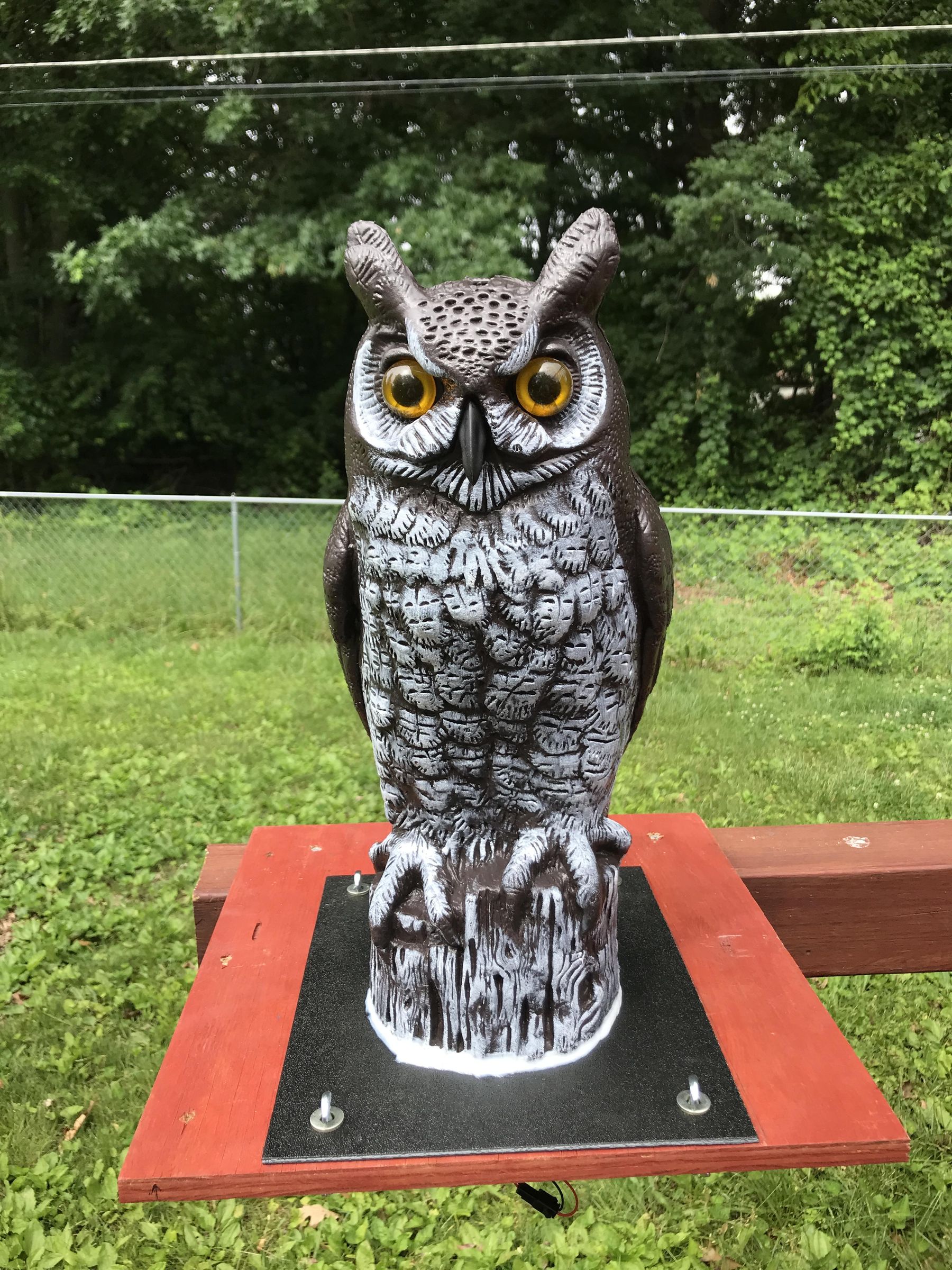 Automated Garden Owl Scarecrow : 7 Steps (with Pictures) - Instructables