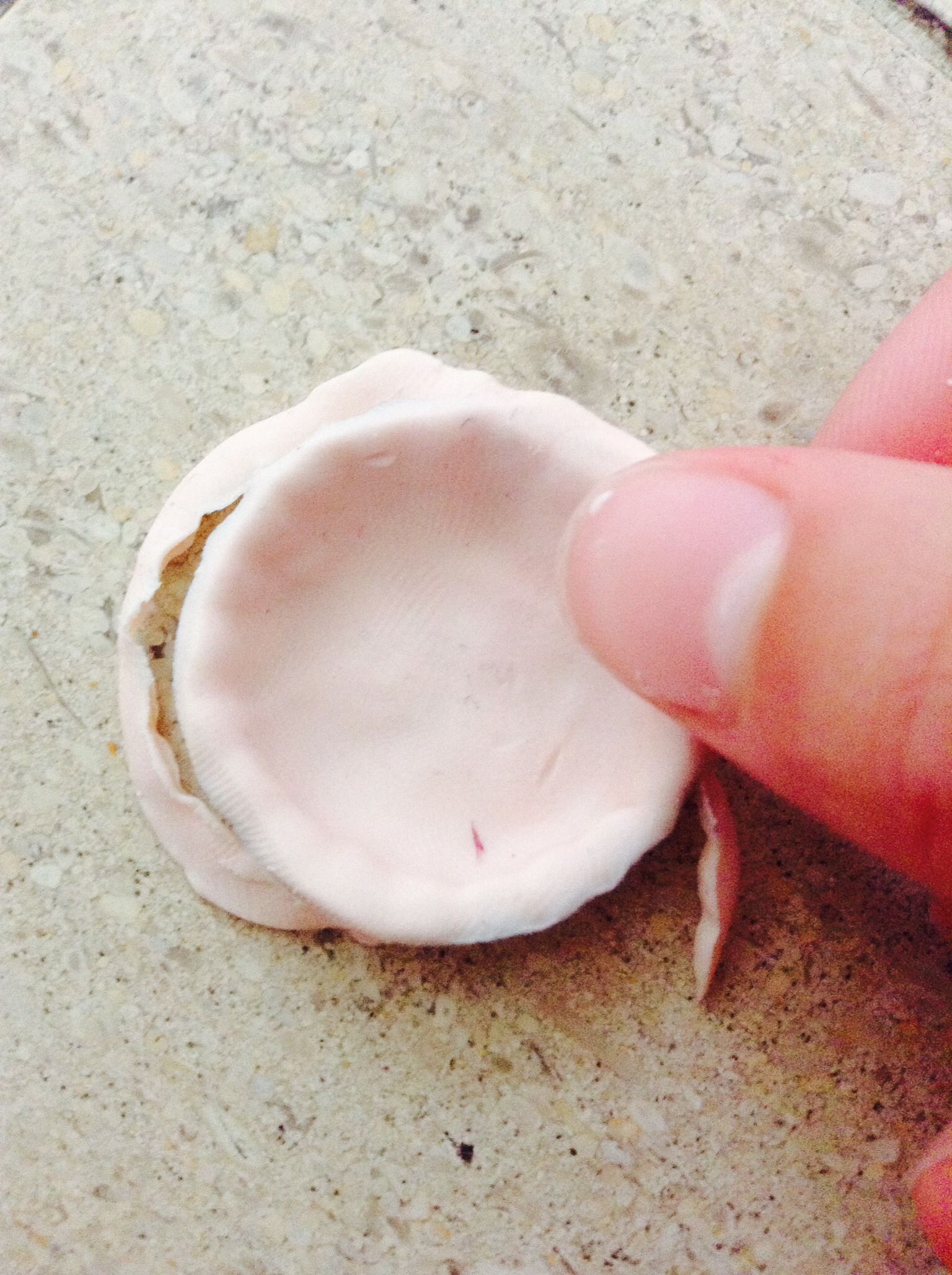 DIY Easy Polymer Clay Pies! : 10 Steps (with Pictures) - Instructables