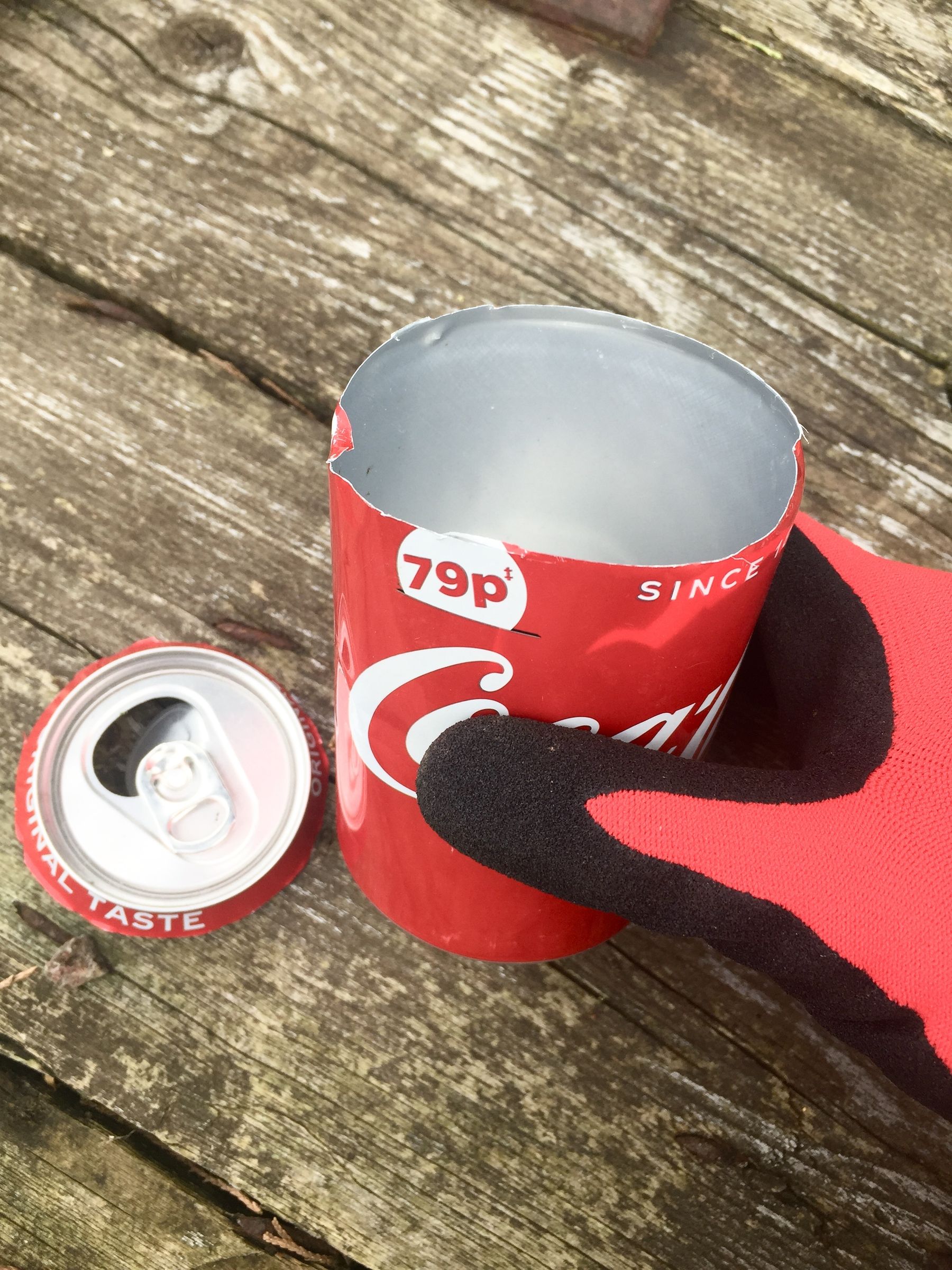 How to Make a Simple Recycled Tin-Can Flower for Your Garden or Plant ...