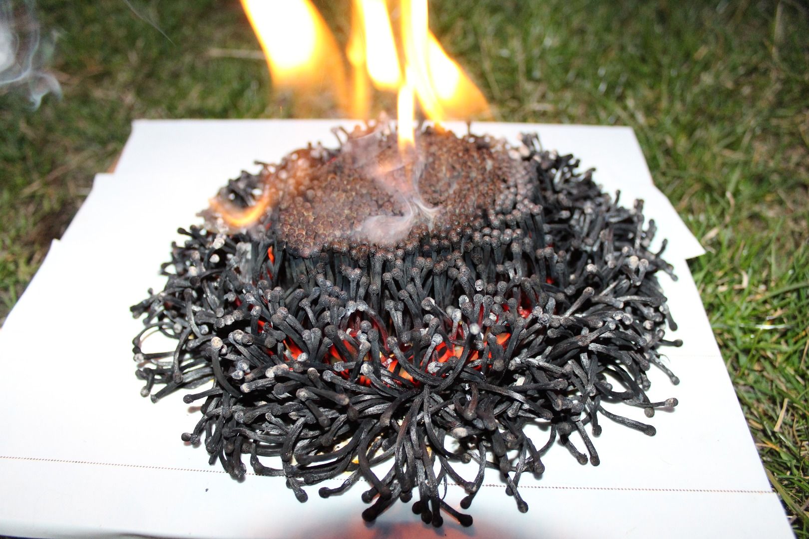 Amazing Fire Domino - 3000 Matches Chain Reaction!!!!!! : 4 Steps (with ...