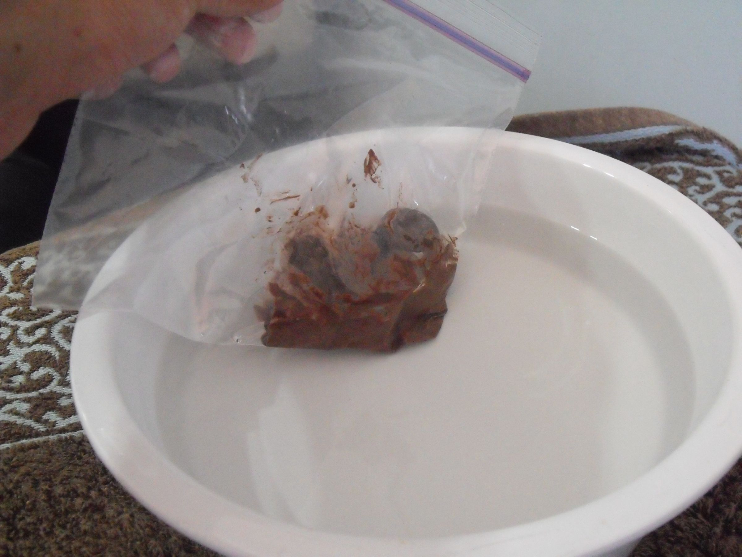 Painting With Chocolate. : 5 Steps (with Pictures) - Instructables