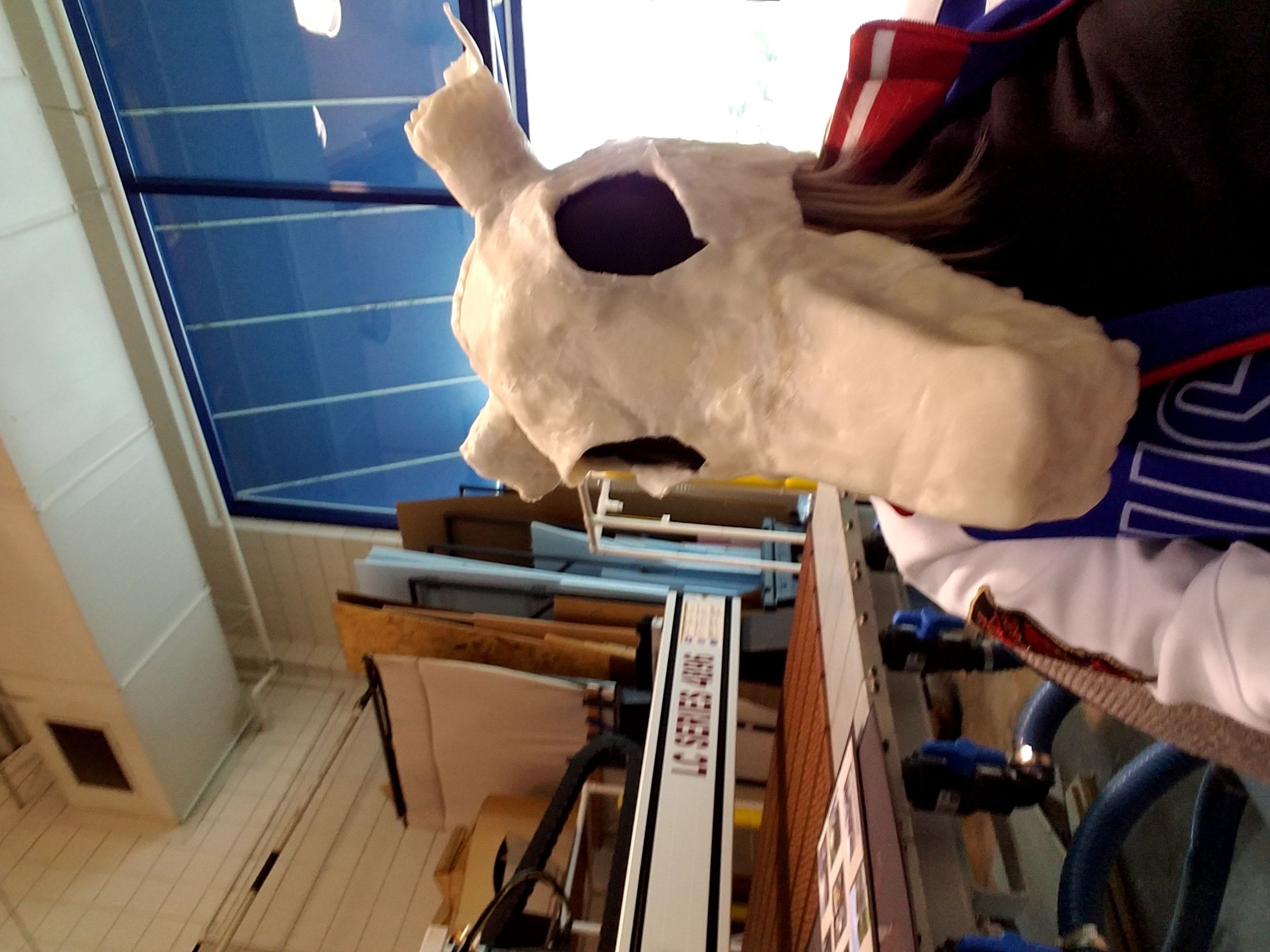 Skull Mask : 9 Steps (with Pictures) - Instructables