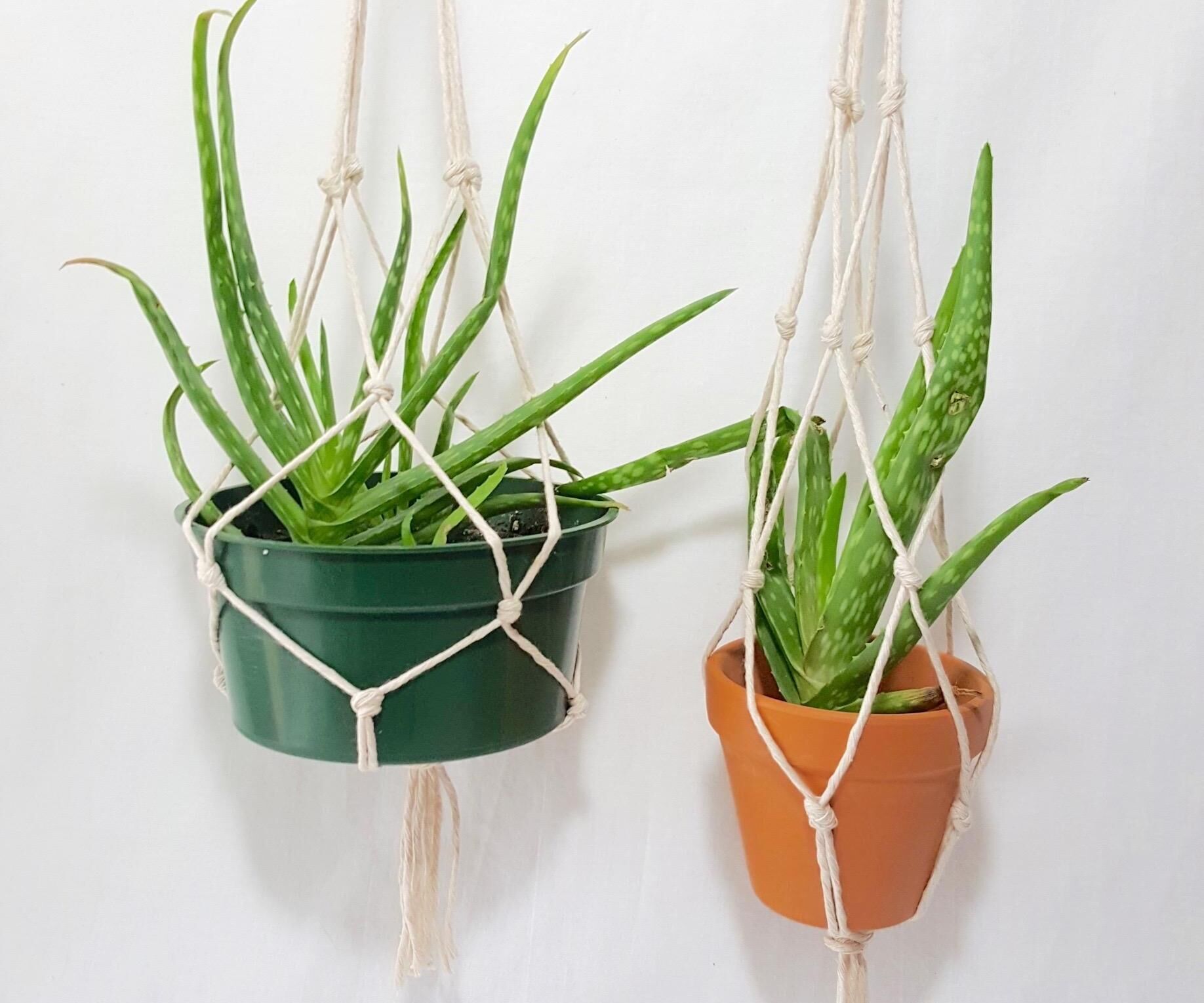 Colgador De Plantas En Macramé / Macramé Simple : 8 Steps (with ...