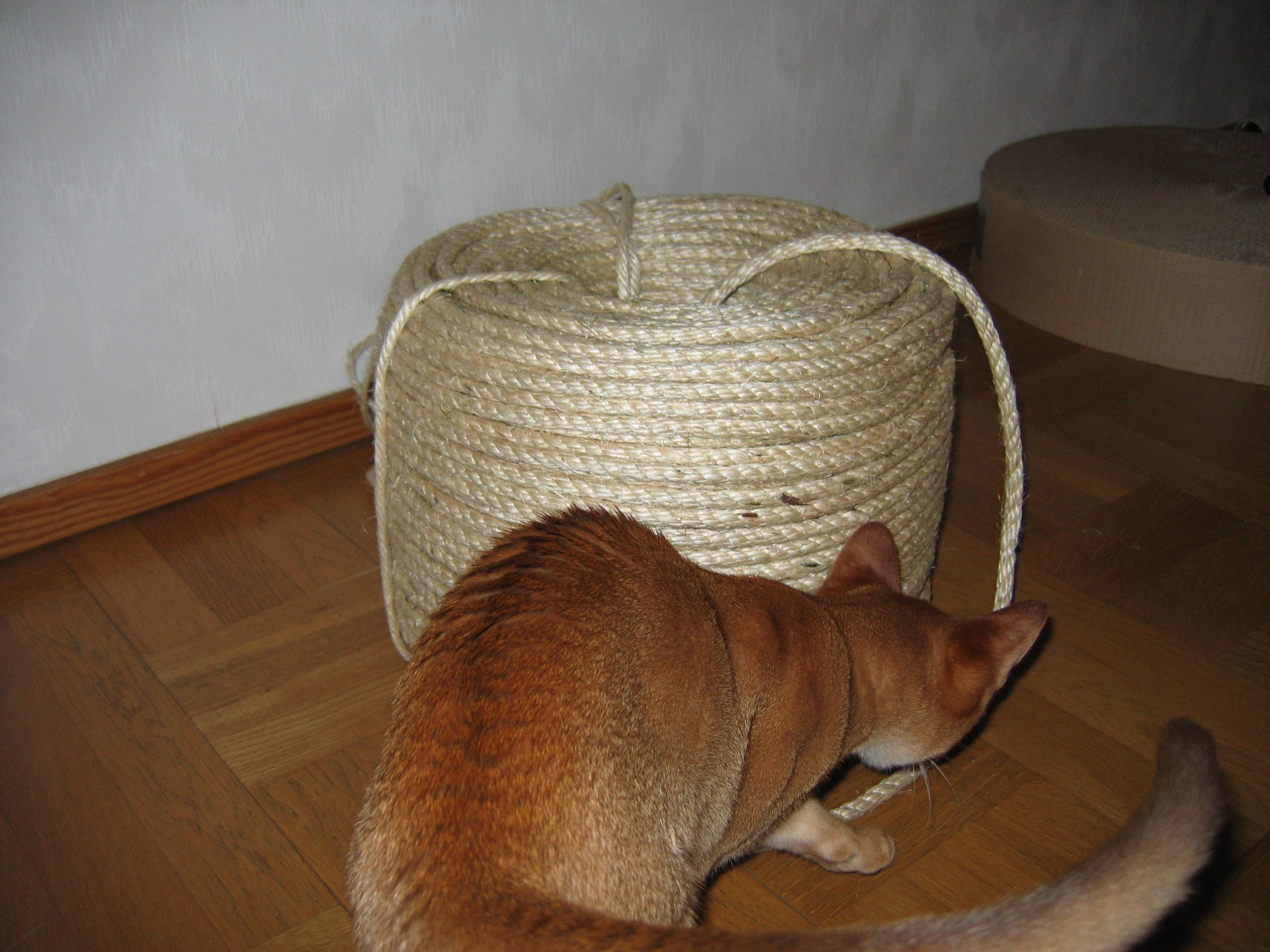 Full Size Cat Scratching / Climbing Post : 7 Steps - Instructables