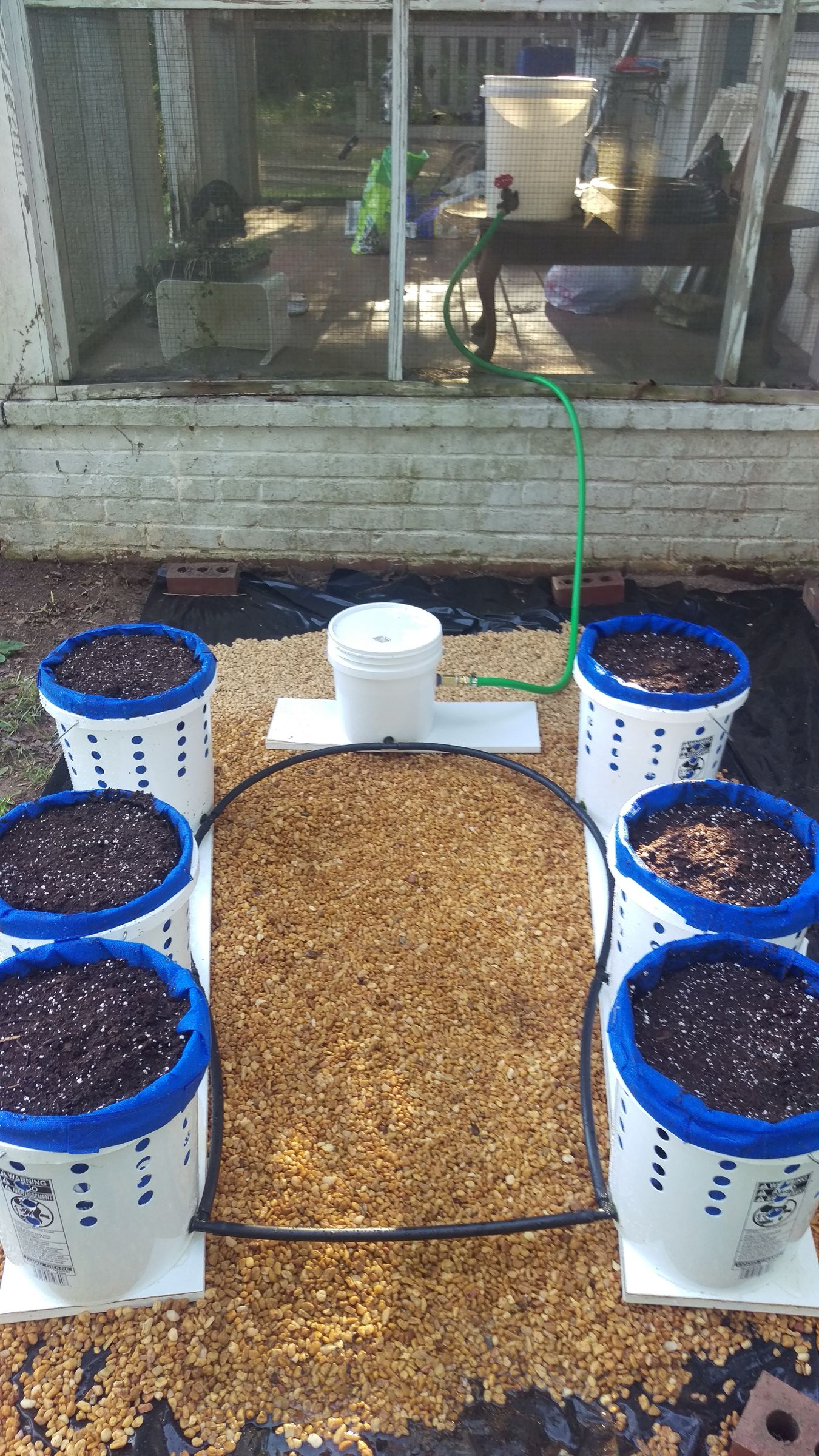 Self Watering Bucket Garden : 3 Steps - Instructables