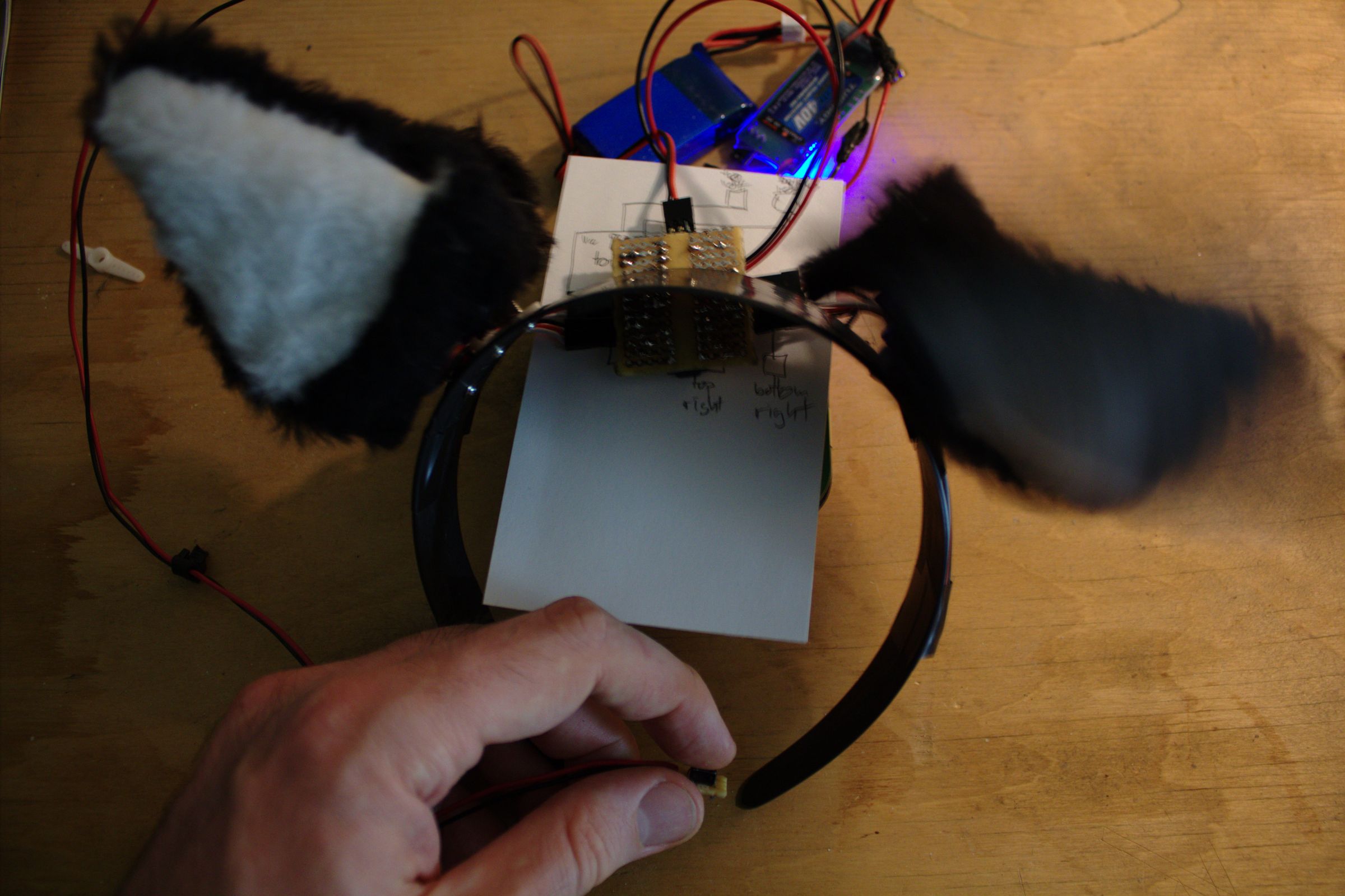 Animatronic Cat Ears : 11 Steps (with Pictures) - Instructables