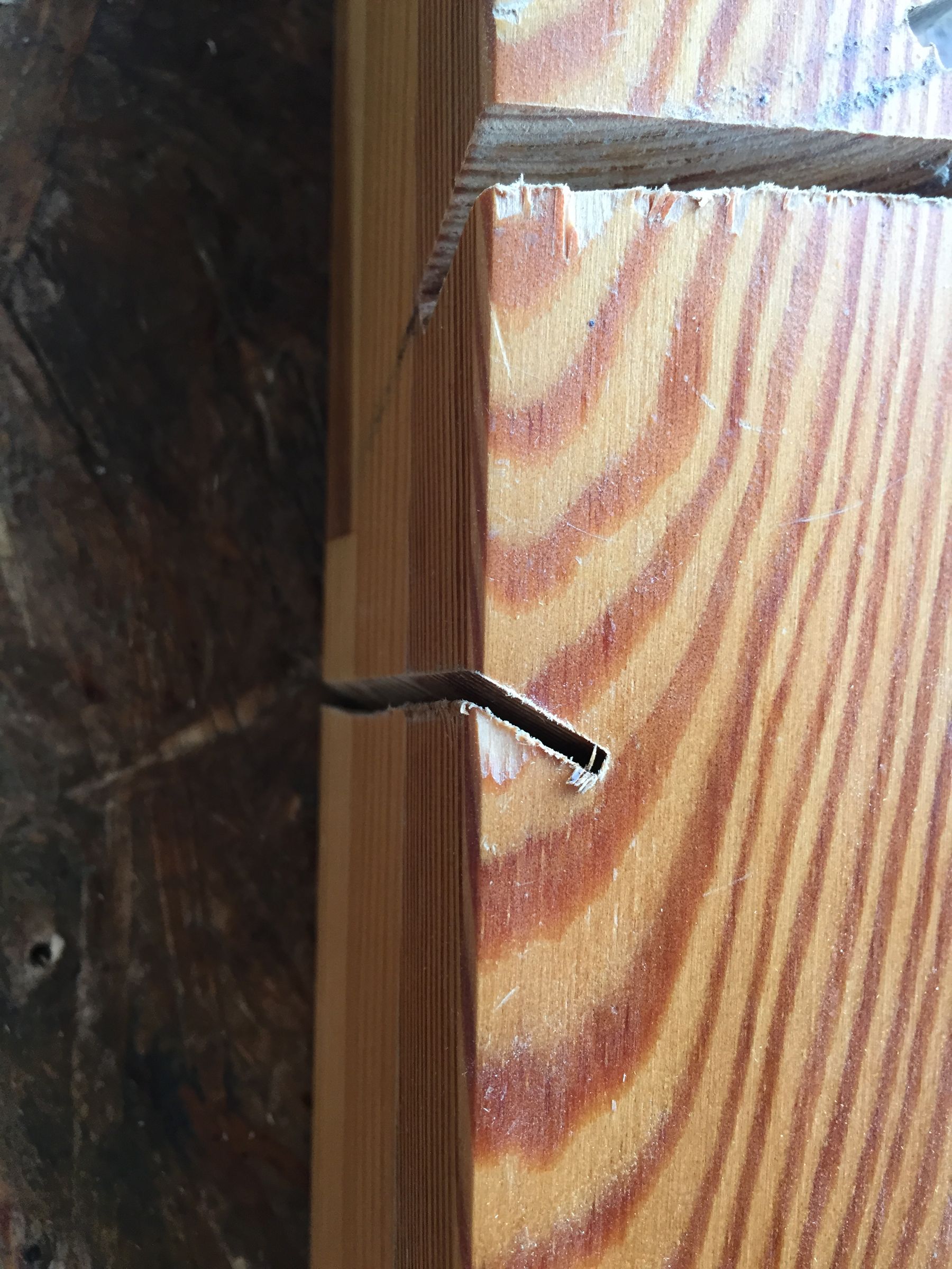 Rainbow Sound Tree : 5 Steps (with Pictures) - Instructables