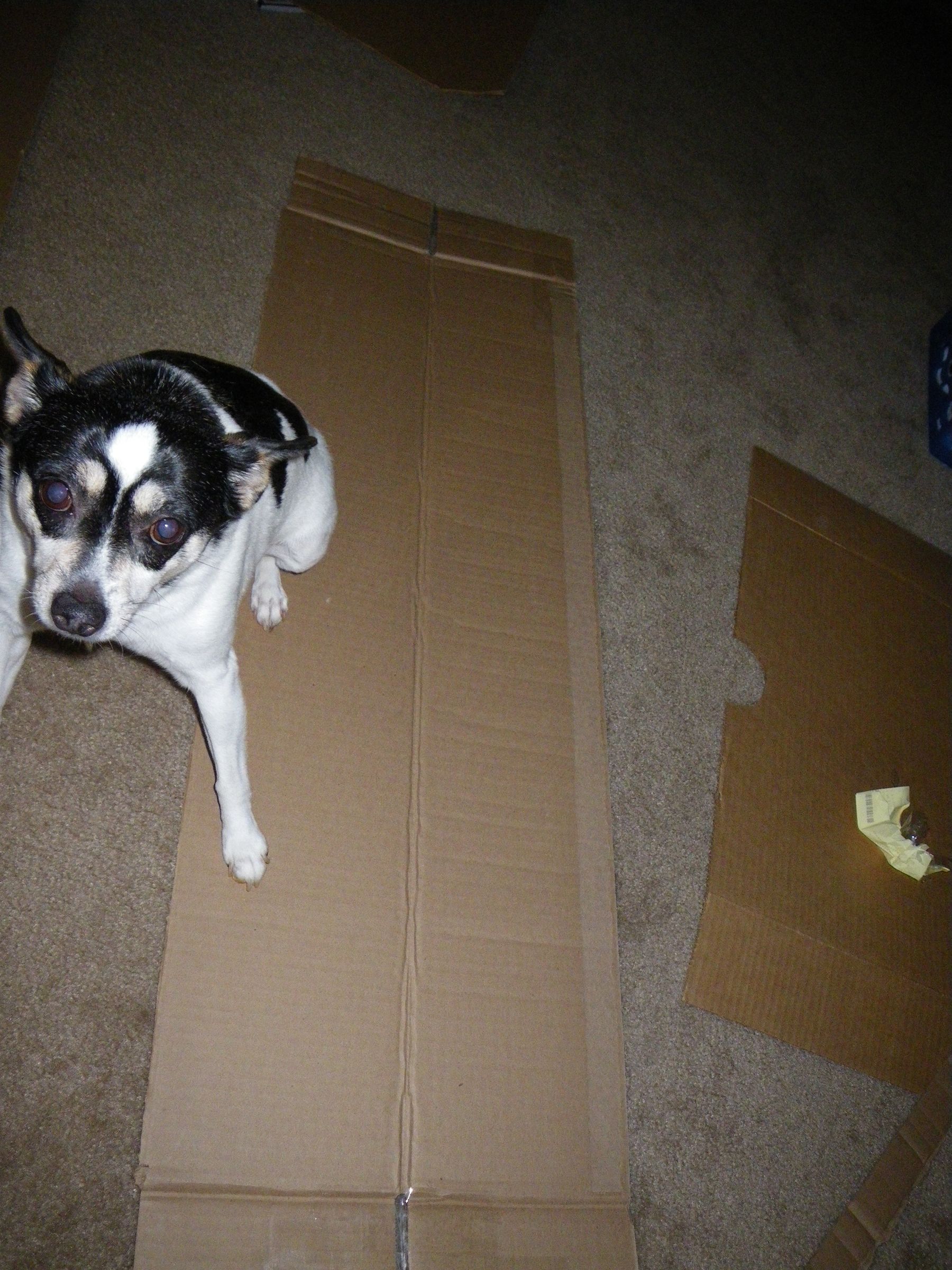 Pant Folding Machine : 5 Steps (with Pictures) - Instructables