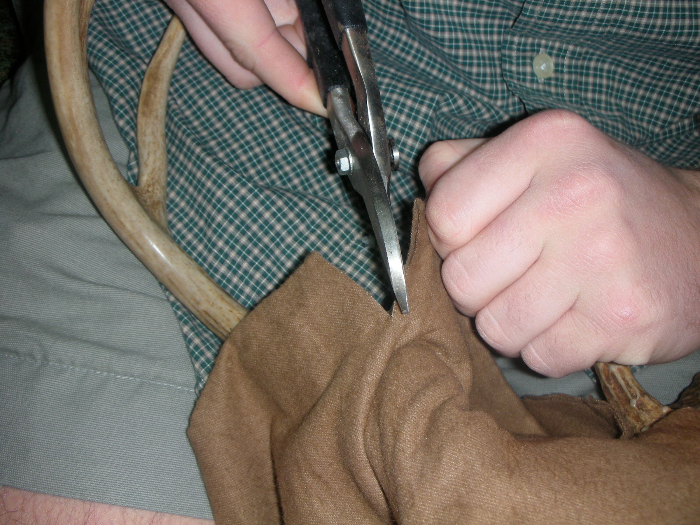 Mounting Deer Antlers : 10 Steps (with Pictures) - Instructables