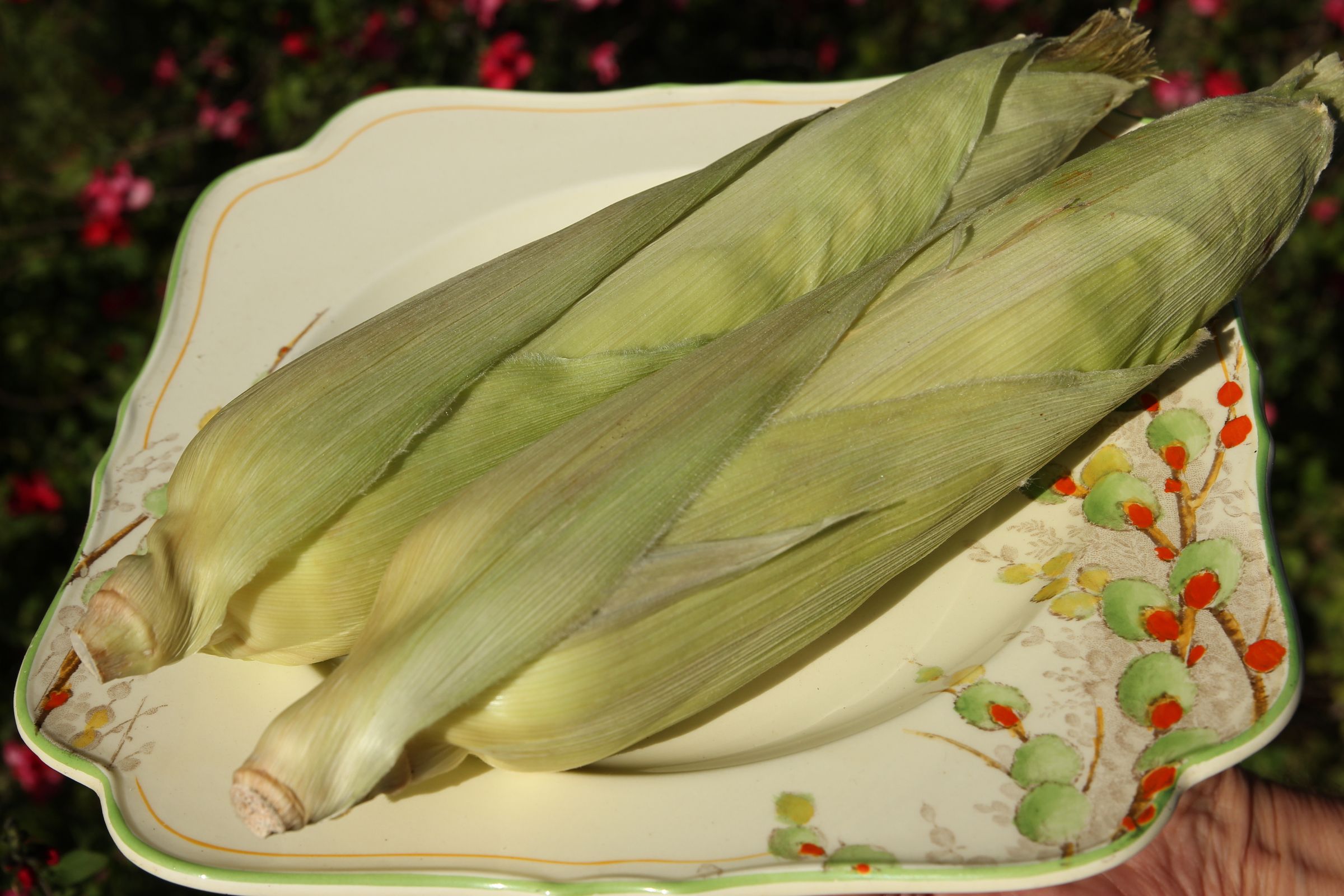 Homage to Nero Wolfe' - 'Murder Is Corny' Roasted Corn Recipe ...
