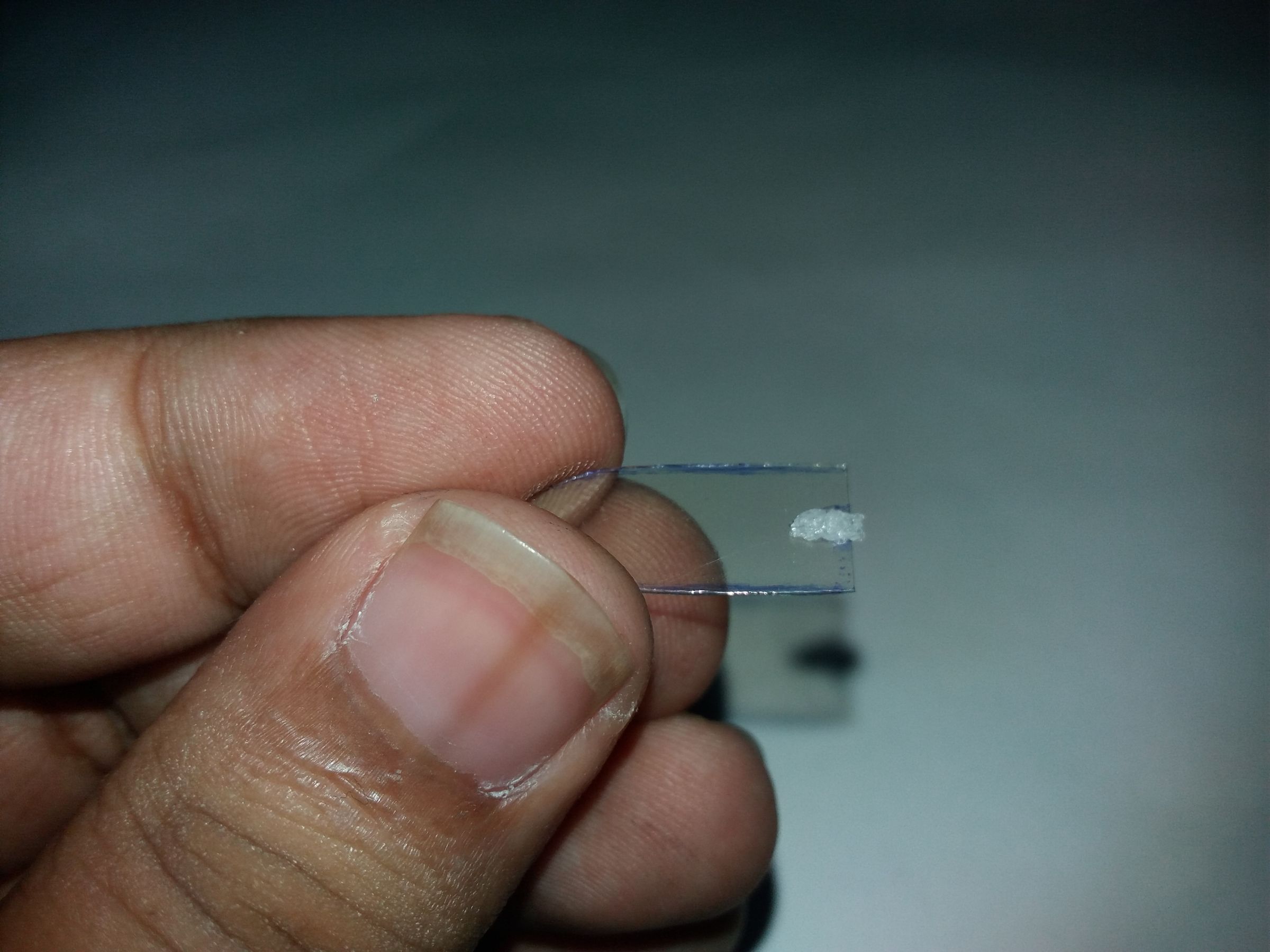 Micro Camphor Boat : 8 Steps (with Pictures) - Instructables