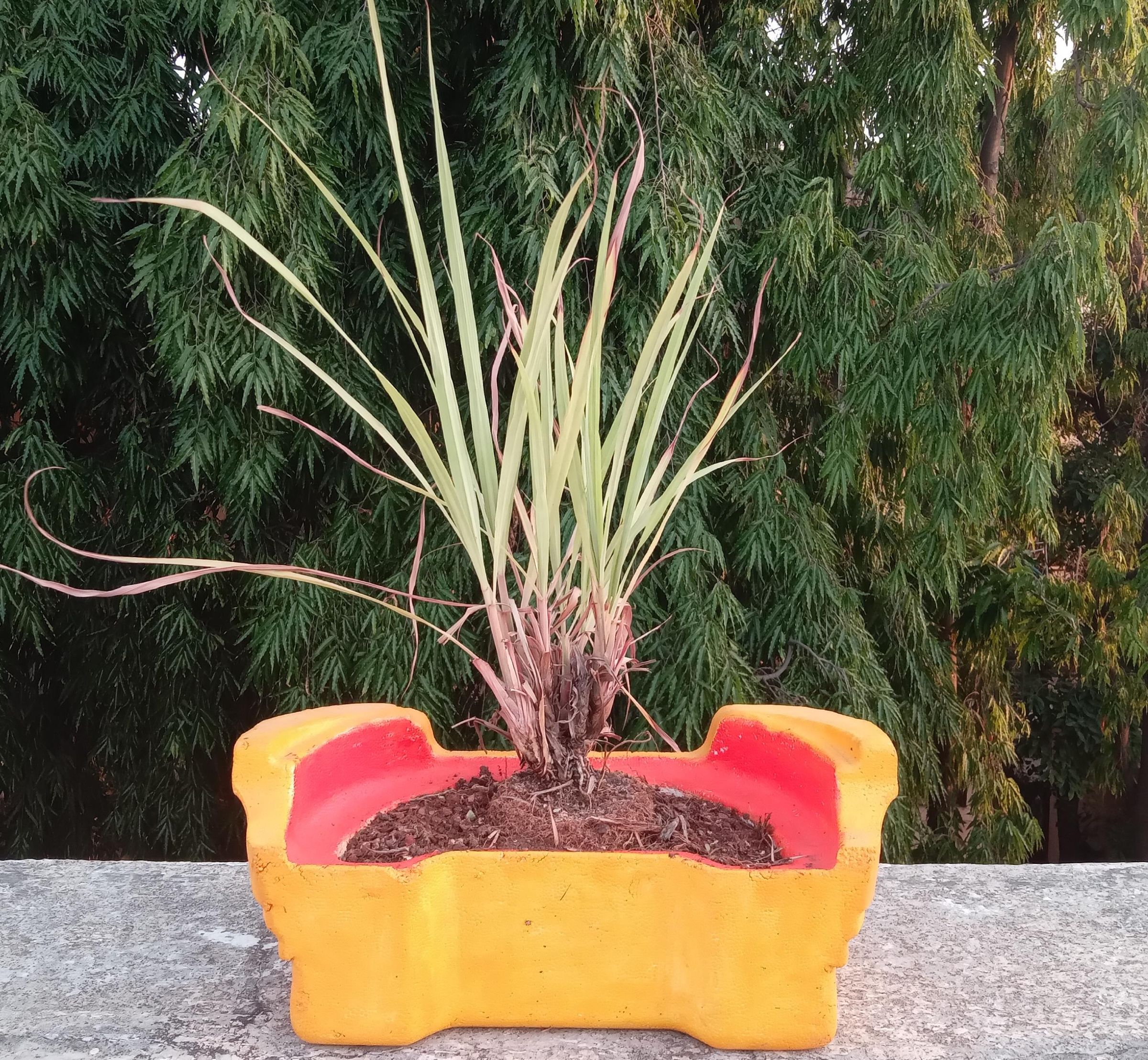 Making Useful Plant Pot From Waste Packaging Material : 9 Steps (with ...