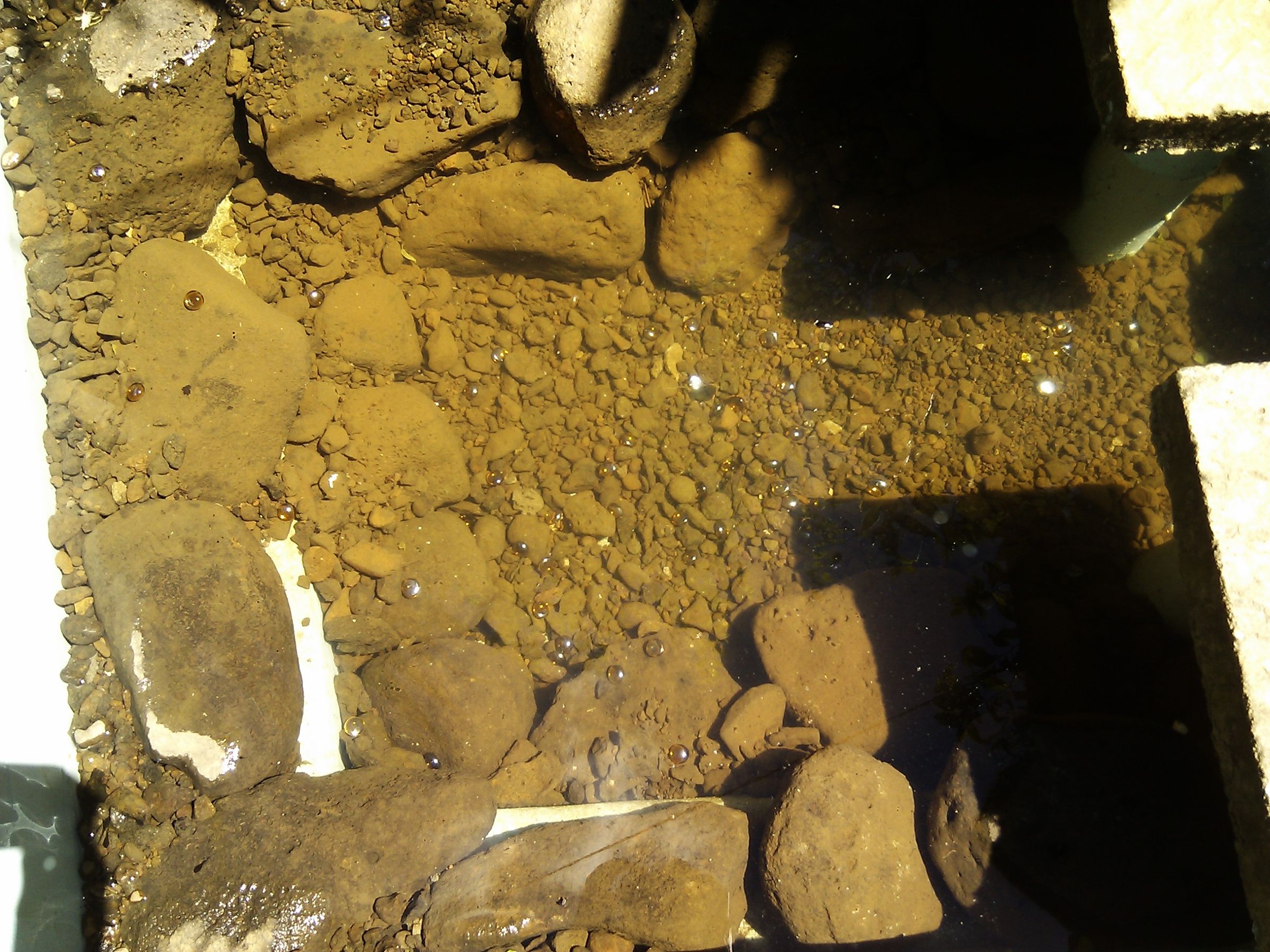 Concrete Pond : 9 Steps (with Pictures) - Instructables