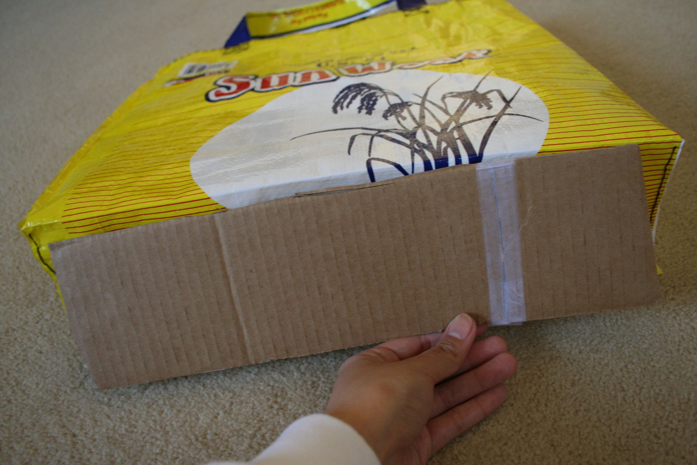 Reusable Grocery Bag Made From a Rice Bag : 11 Steps (with Pictures ...
