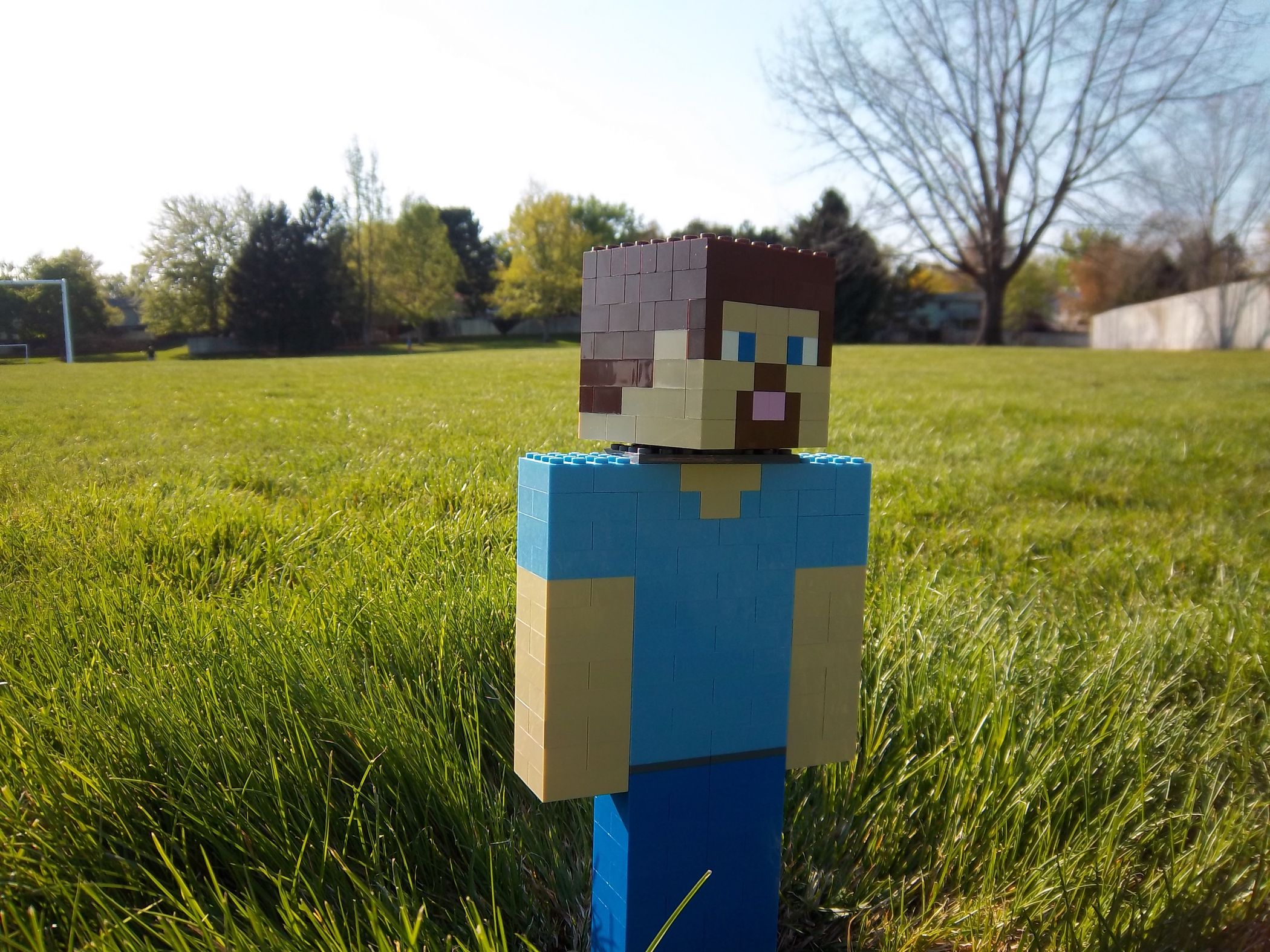 LEGO Minecraft Steve Skin (with Pictures) - Instructables
