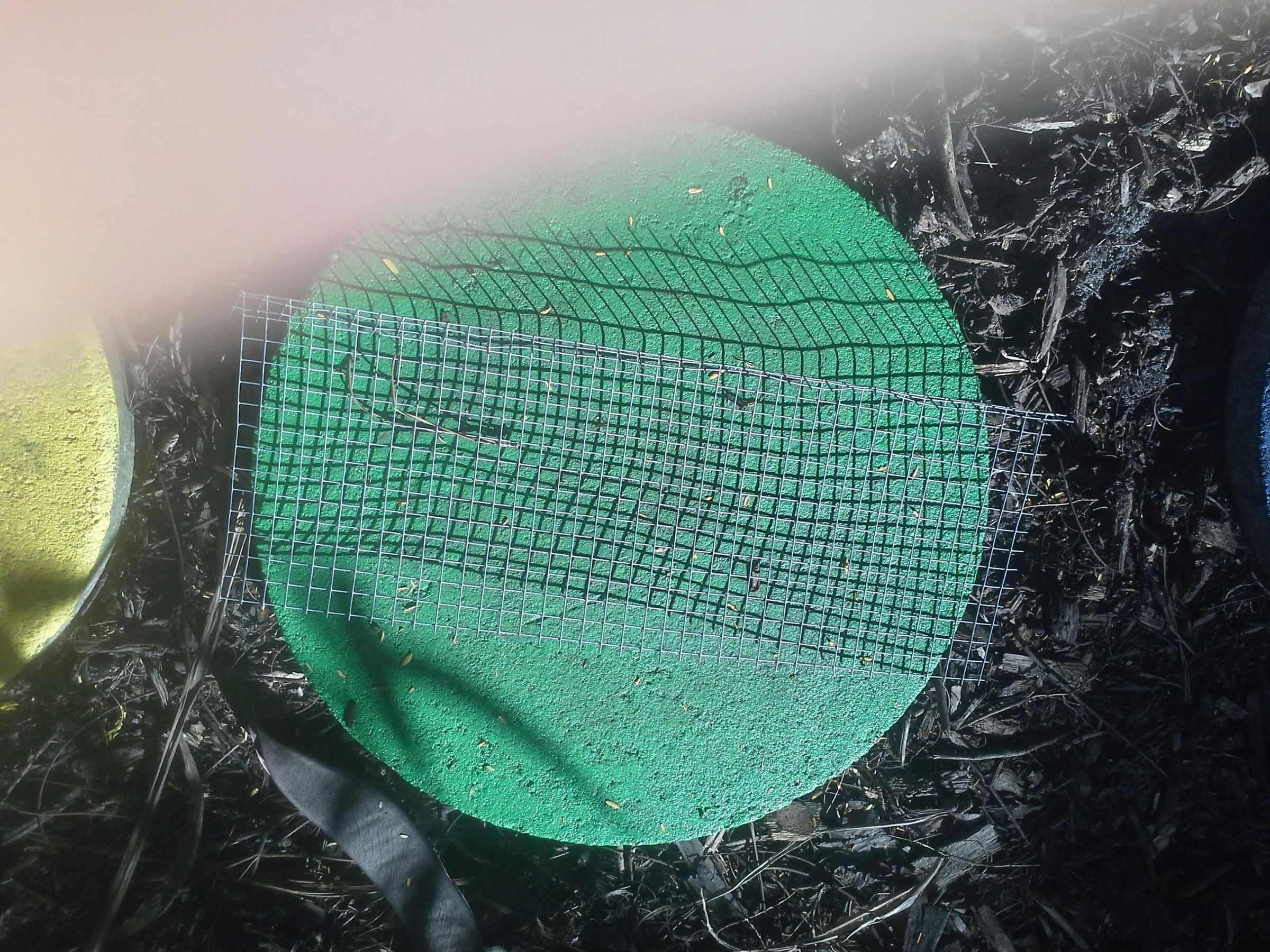 Suet Cage From Scrap Mesh and Wire. : 8 Steps - Instructables