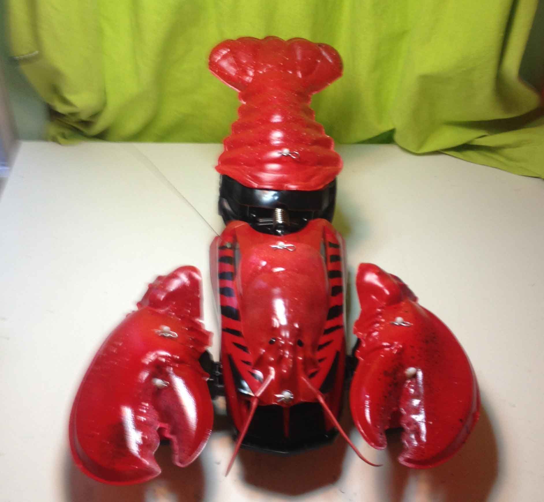 Remote Controlled Lobster : 5 Steps (with Pictures) - Instructables