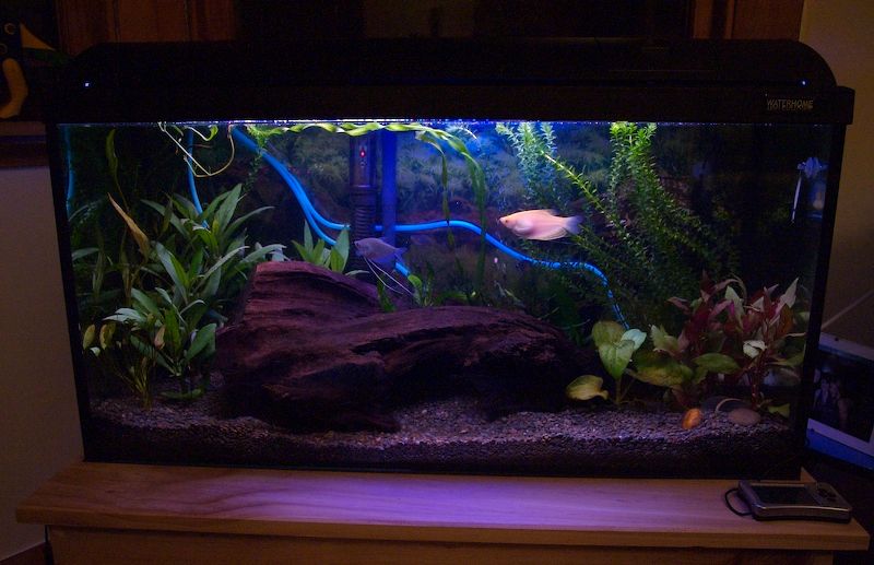 Fish Tank LED Moonlight / Moonlighting : 10 Steps - Instructables