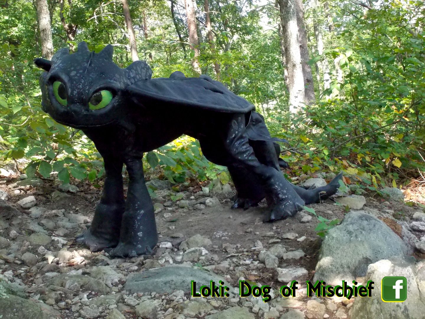 Toothless Costume (for Dogs!) : 6 Steps (with Pictures) - Instructables