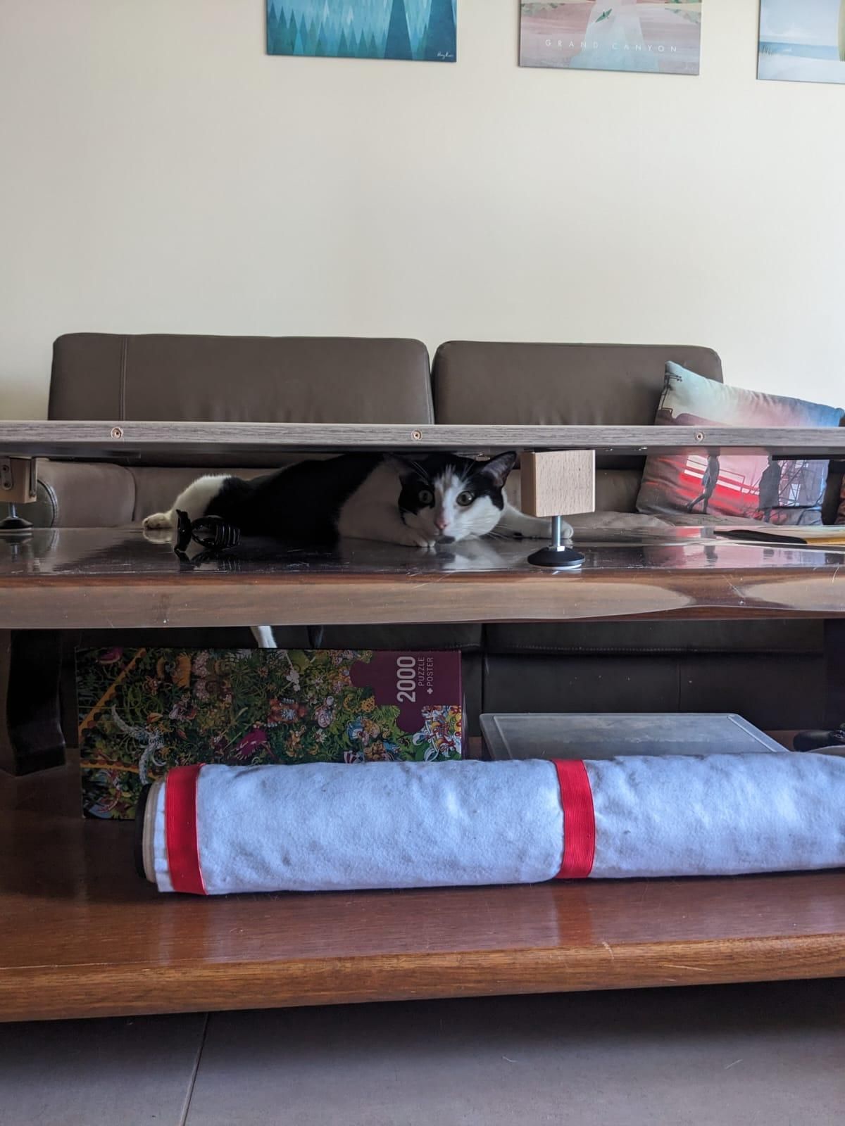 Convertible Board Game Table : 5 Steps (with Pictures) - Instructables