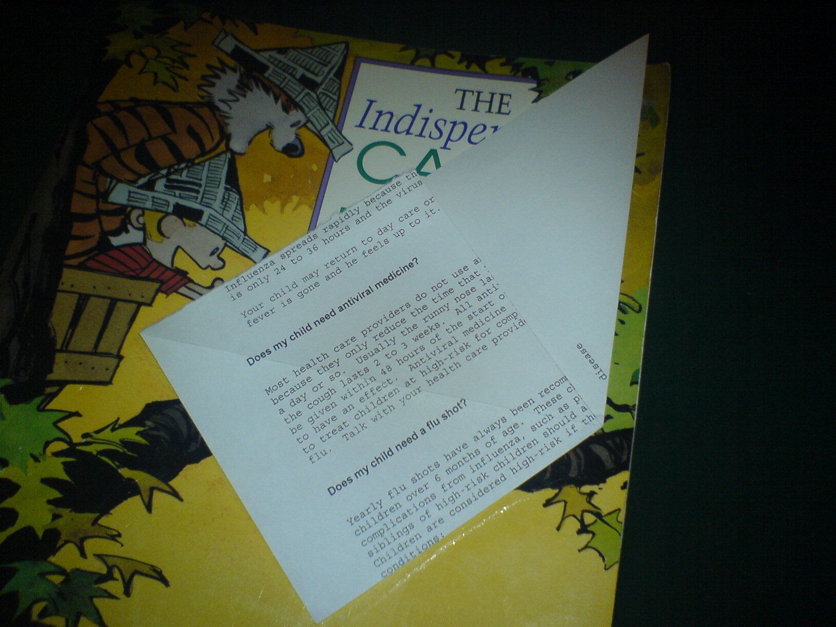 Flying Origami Crane. : 9 Steps - Instructables