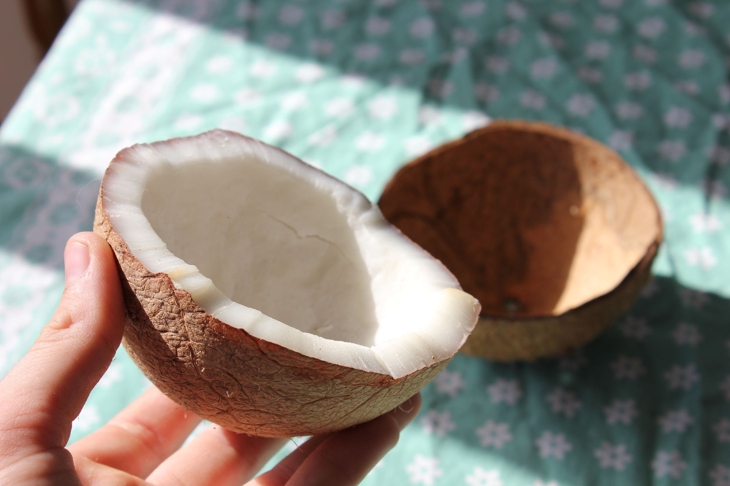 Crack Open a Coconut : 4 Steps - Instructables