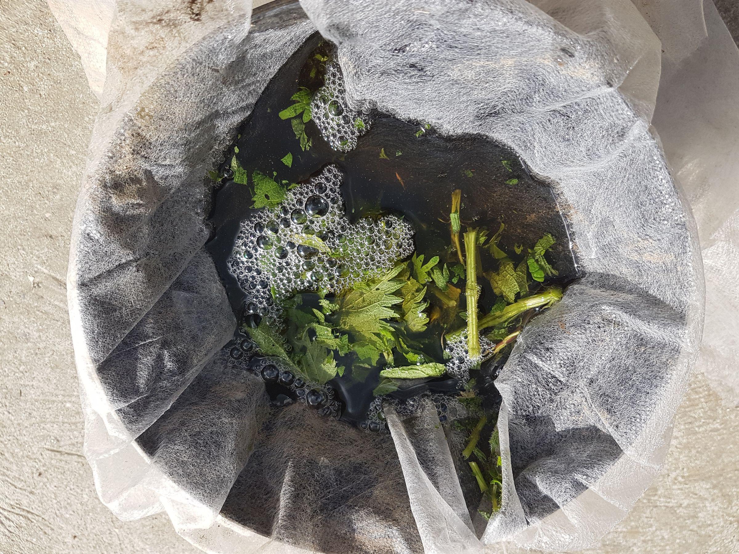 Homemade Natural Insecticide/repellent (with Pictures) - Instructables