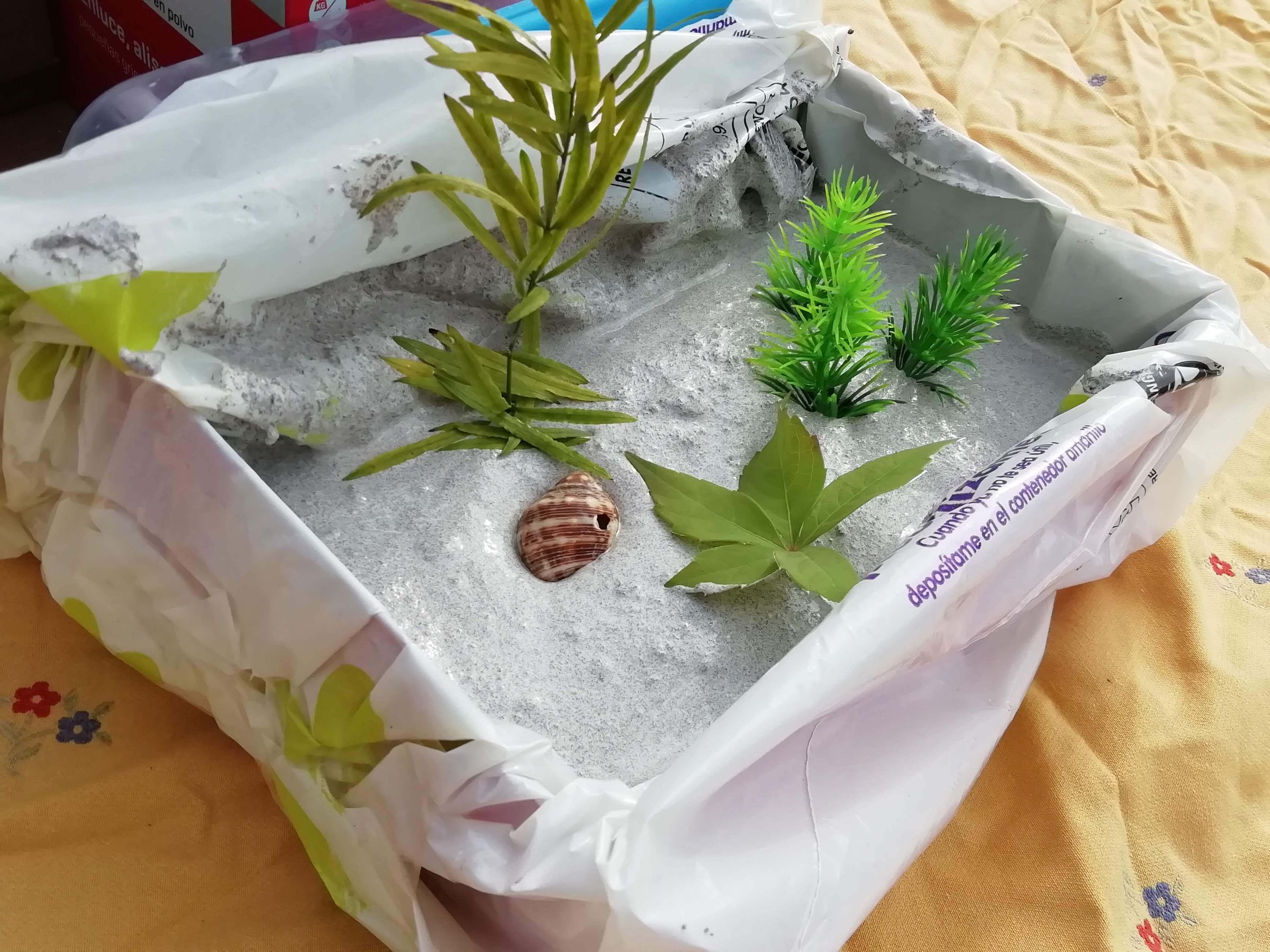 Excavation Kit (educational, DIY, for Kids) : 5 Steps (with Pictures ...