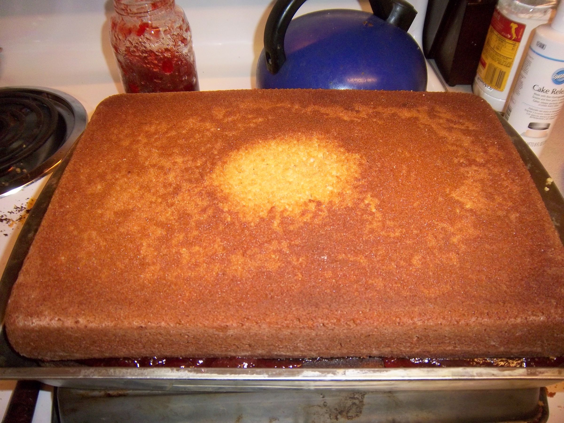 Portal 2 Cake - Instructables