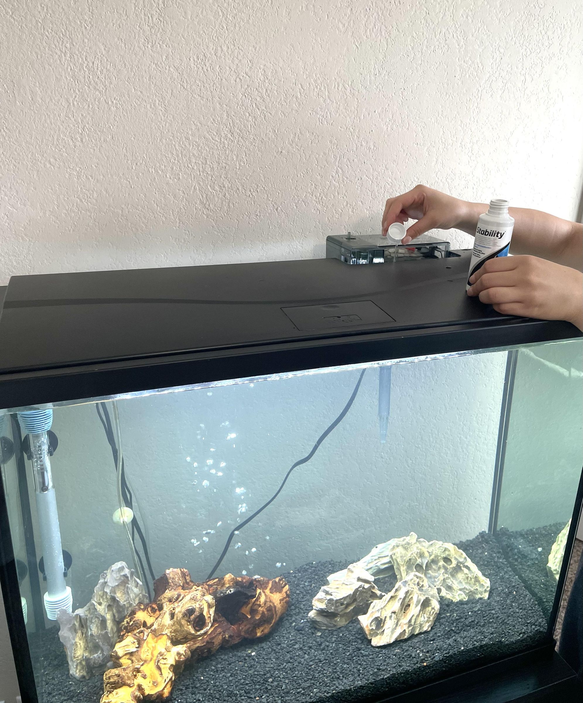 How to Set Up a Tropical Aquarium : 11 Steps (with Pictures ...