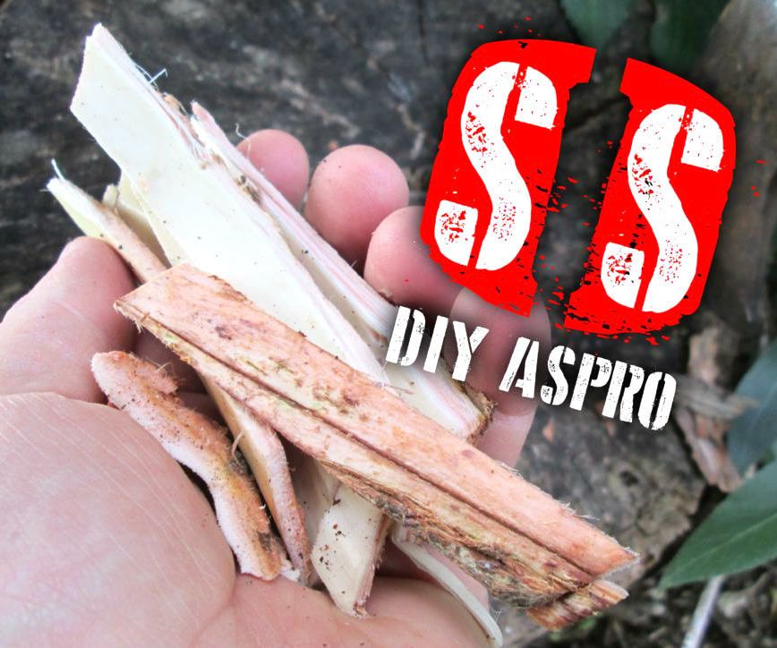 Survive in Style (5) - DIY Aspirin : 5 Steps (with Pictures) - Instructables