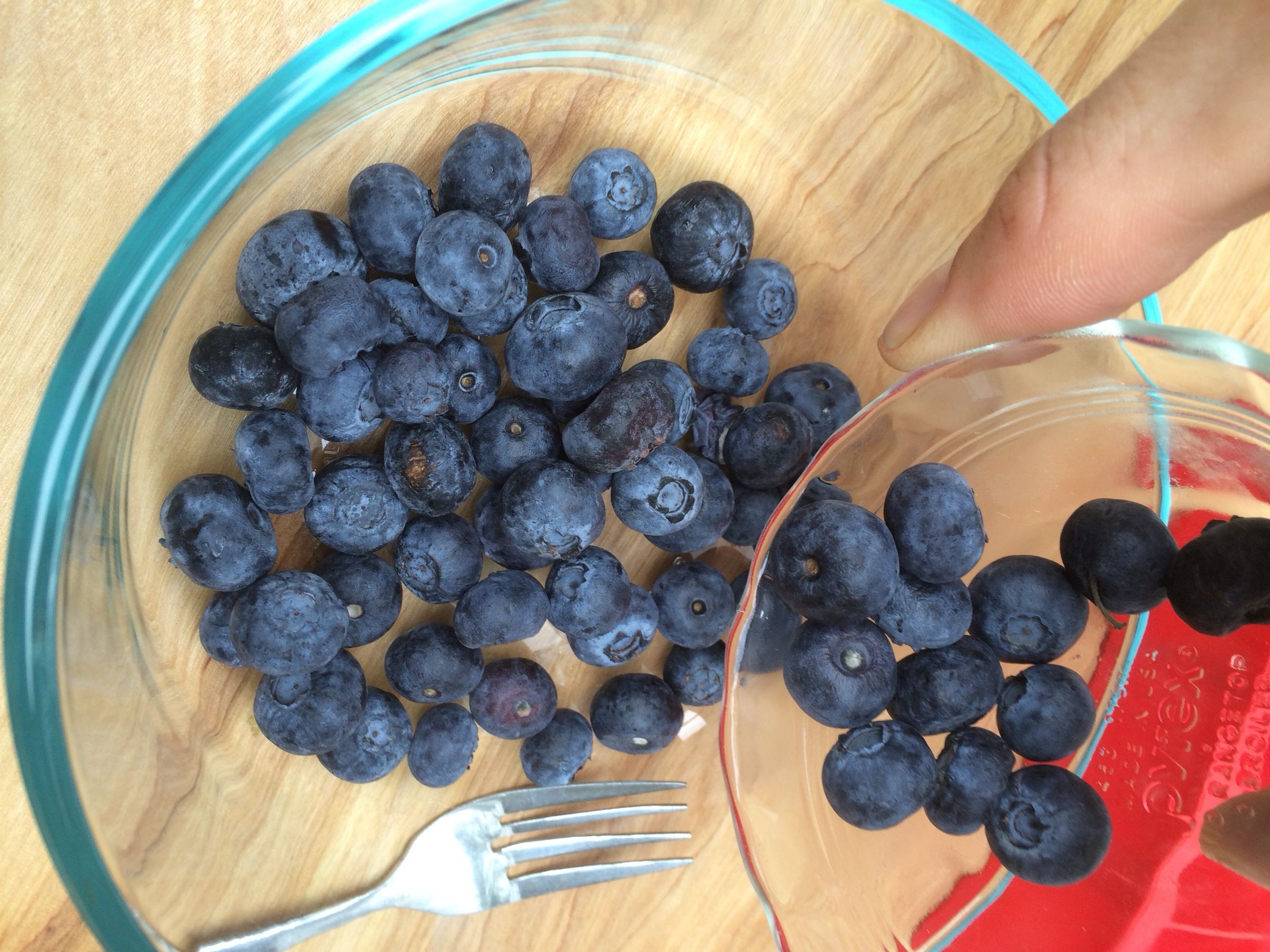 Square Blueberry Cubes : 5 Steps (with Pictures) - Instructables