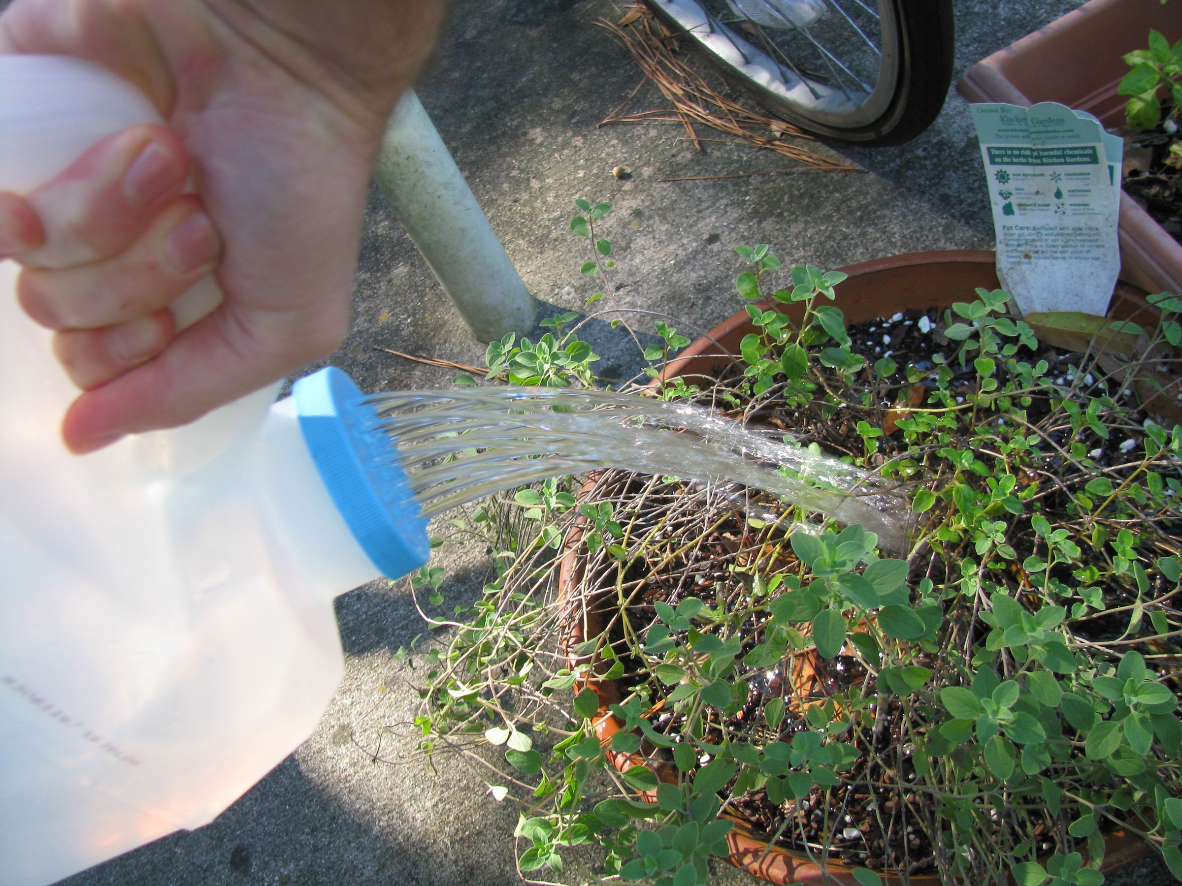 GARDEN WATERING JUG - Instructables