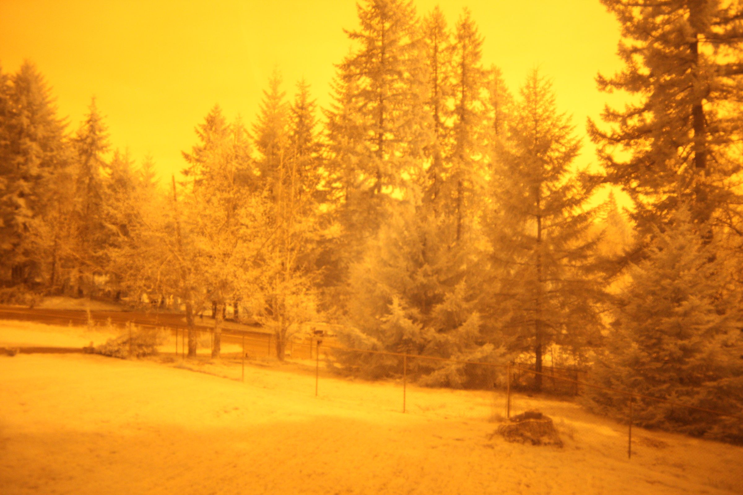 (near) Infrared Photography : 6 Steps - Instructables