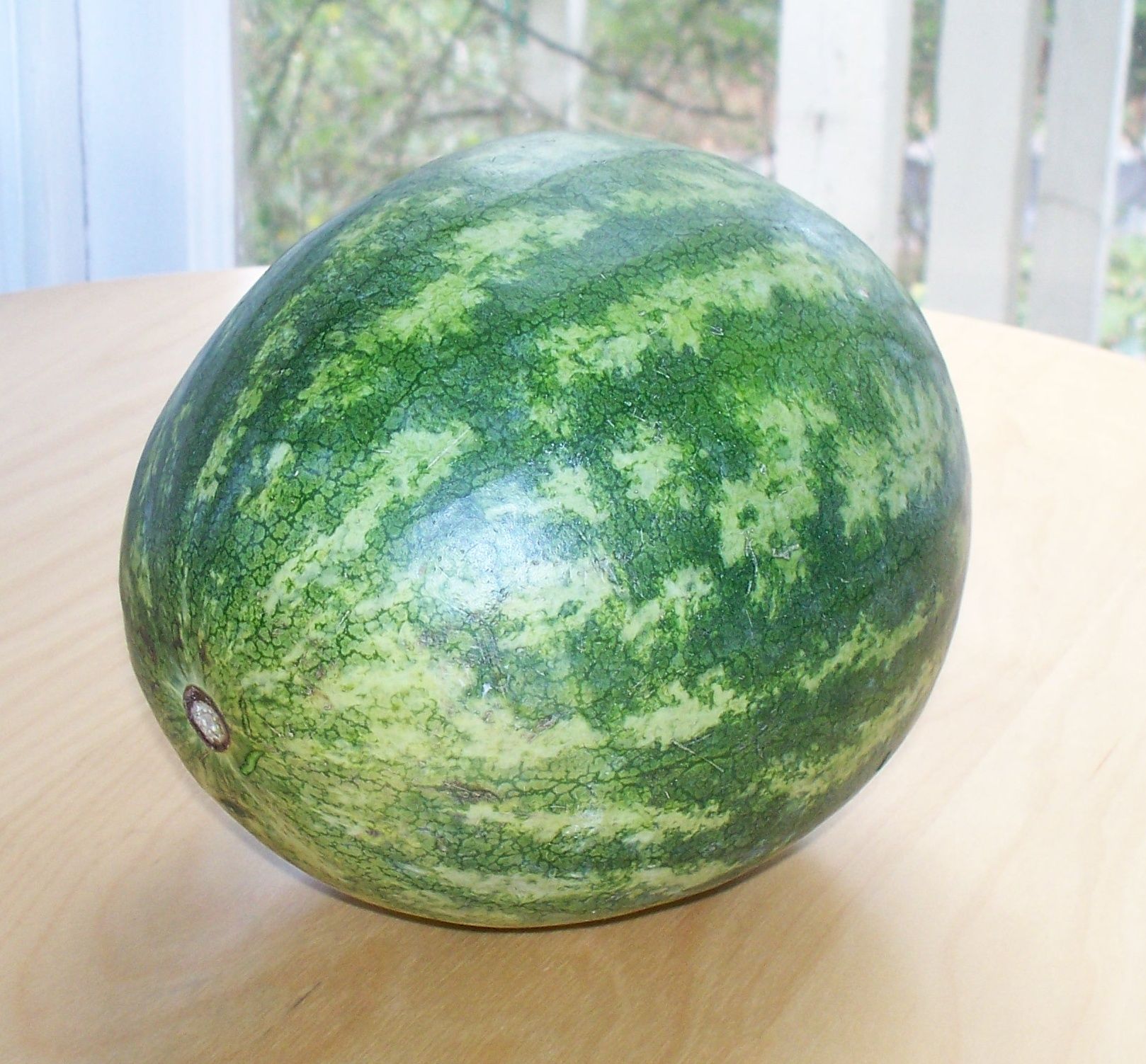 Melon Brains : 4 Steps (with Pictures) - Instructables