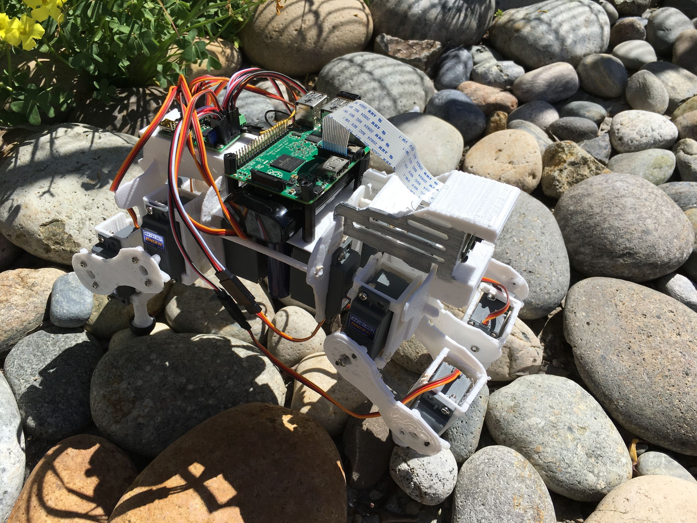 Fenrir: an Open Source Dog Robot : 16 Steps (with Pictures) - Instructables