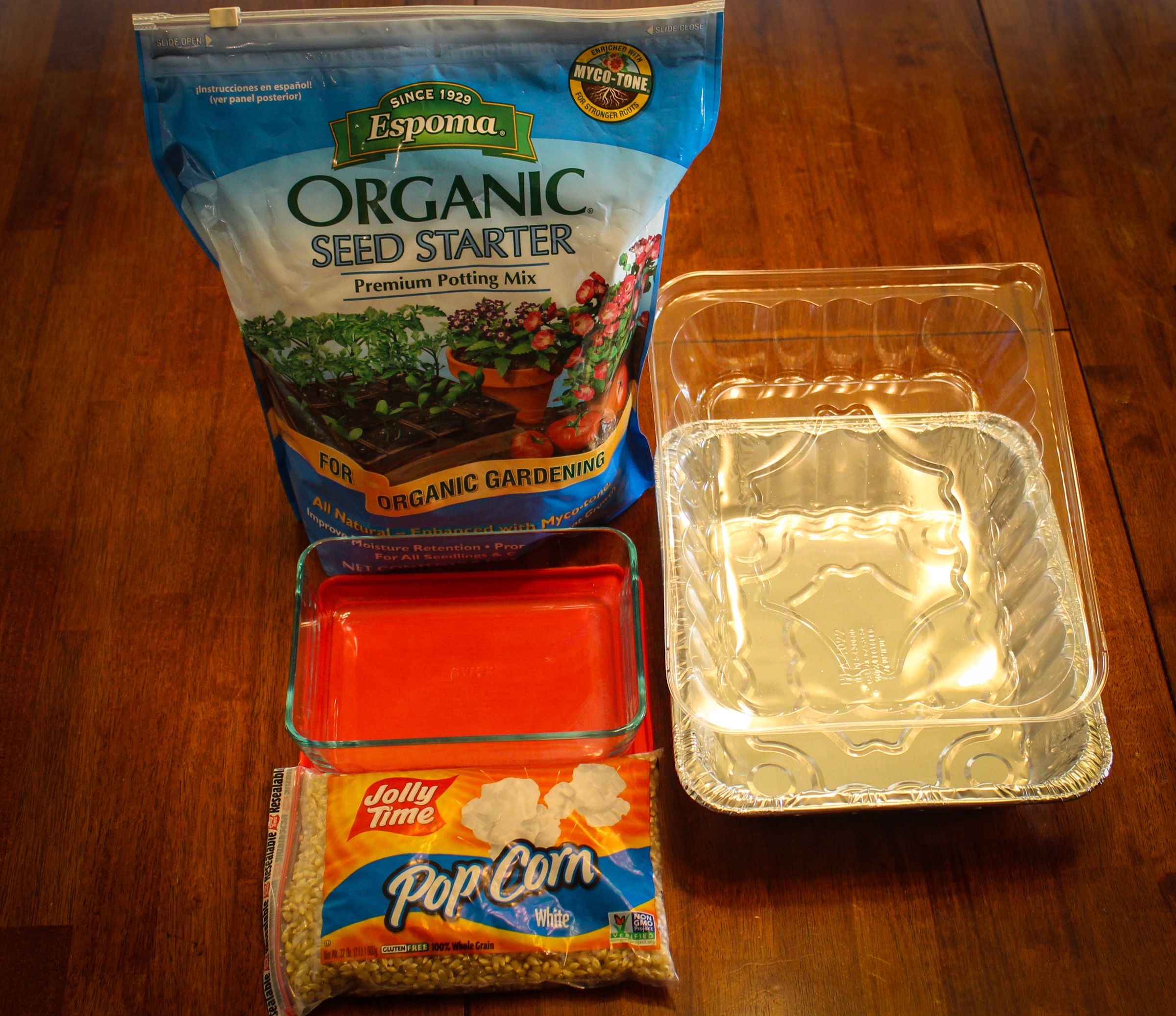 How to Grow Popcorn Shoots : 9 Steps (with Pictures) - Instructables