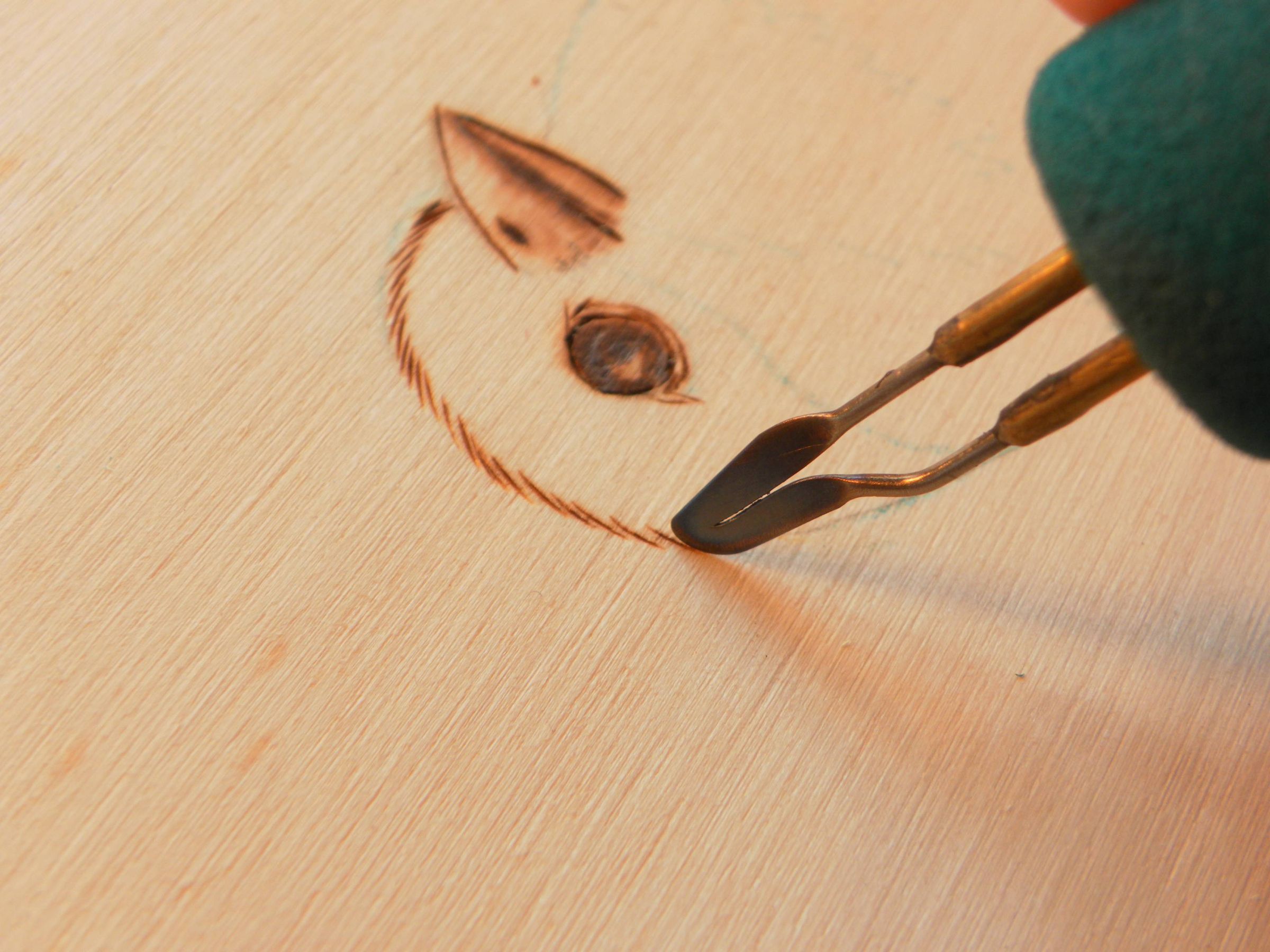 Pyrography: Step by Step Burn a Chickadee : 10 Steps (with Pictures ...