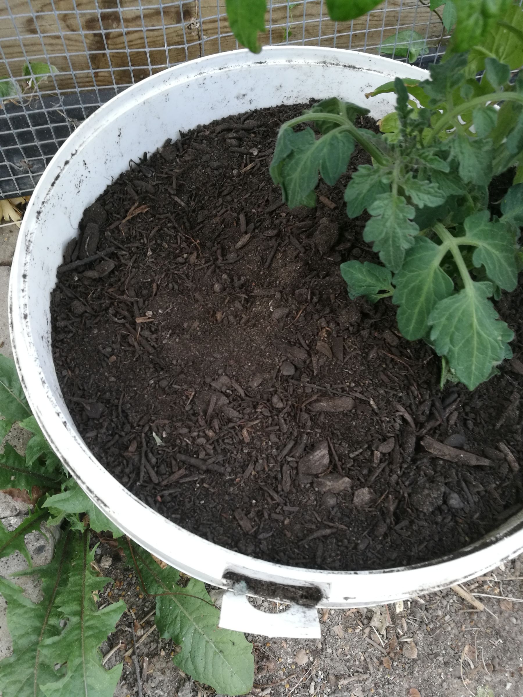 Simple Wicking System : 4 Steps - Instructables