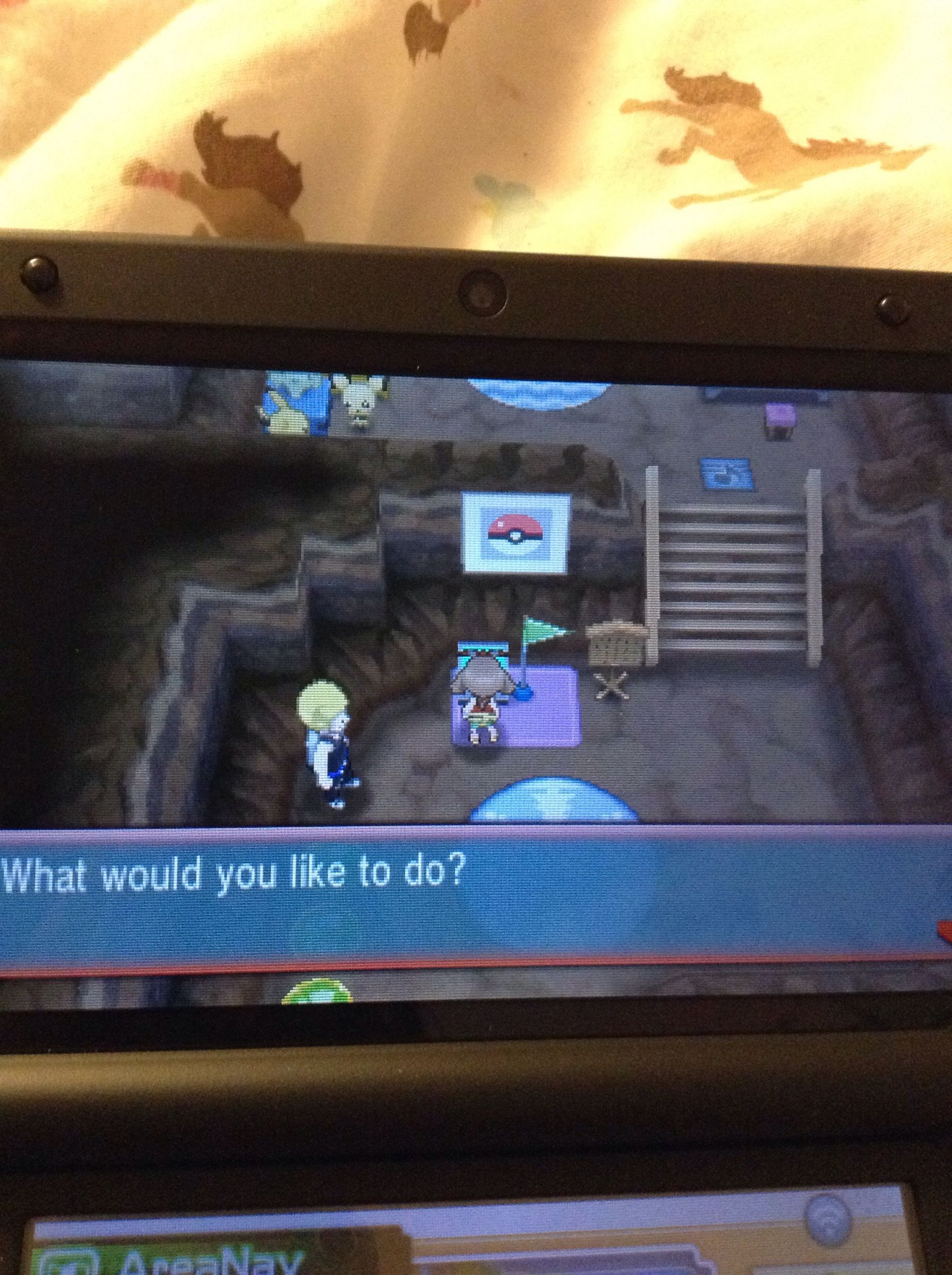 Secret Base Pokemon Qr Codes