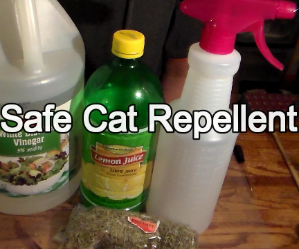 Friendly (but Effective) Cat Repellent : 5 Steps (with Pictures ...