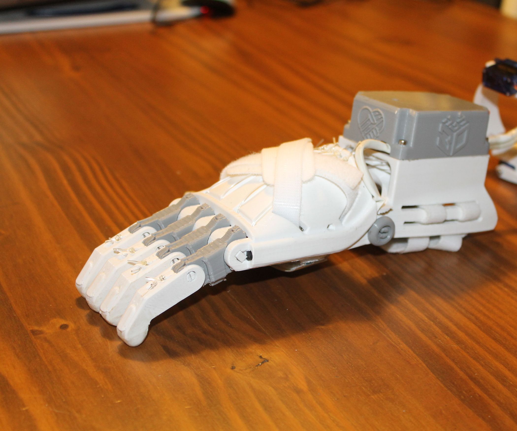 Sensory Feedback - Raptor Reloaded : 8 Steps (with Pictures ...