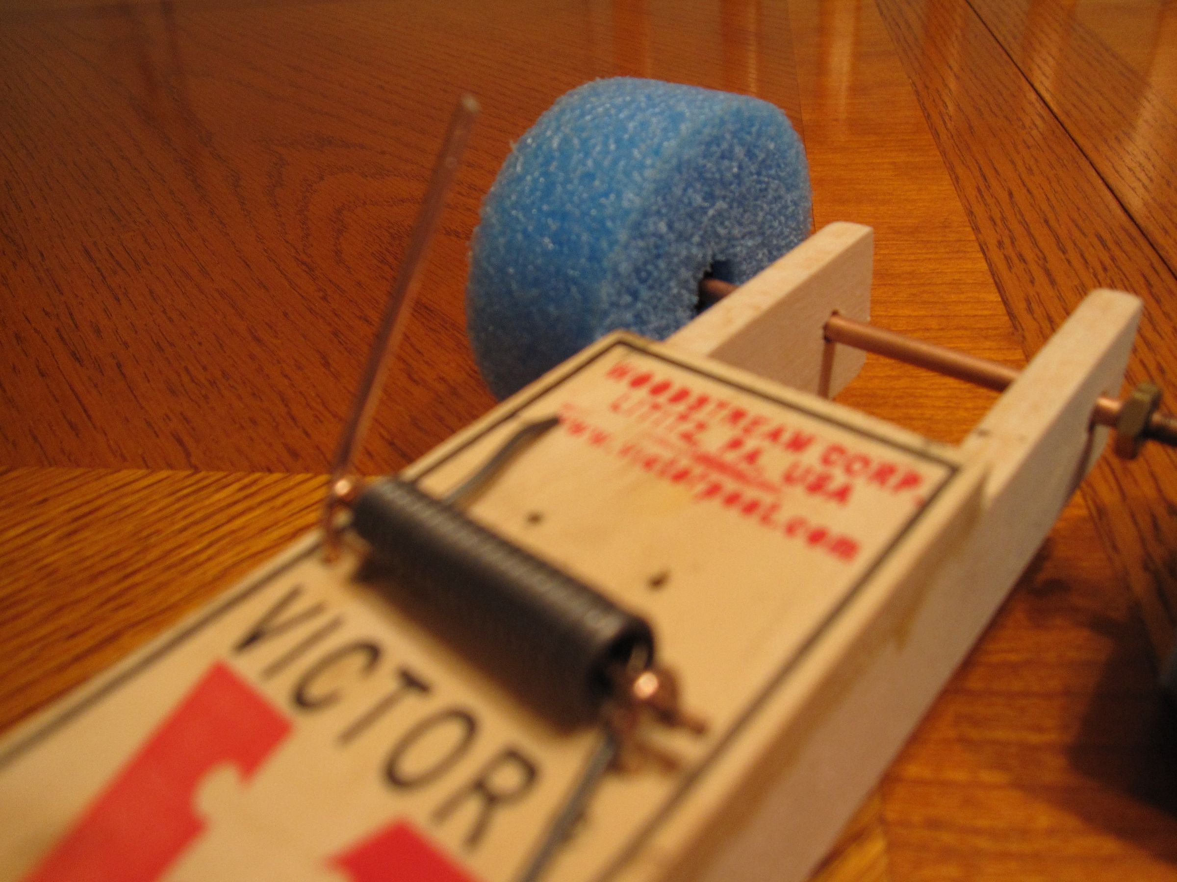 Mousetrap Car Racer : 8 Steps - Instructables