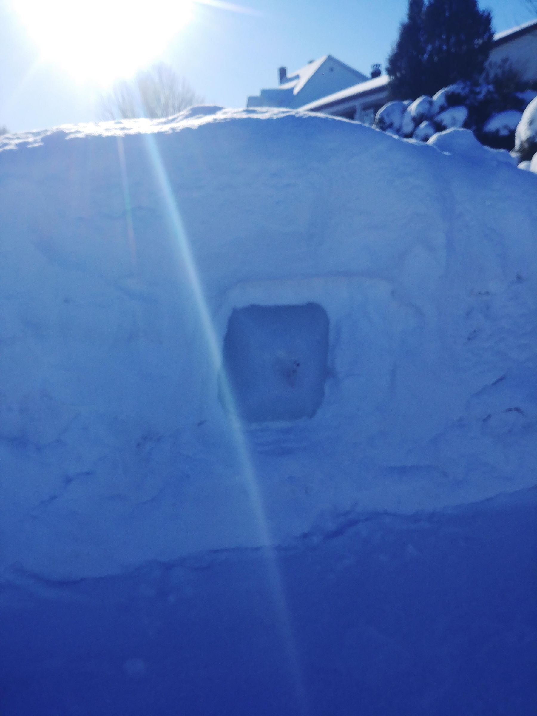 Driveway Snowbank Led Show - Instructables
