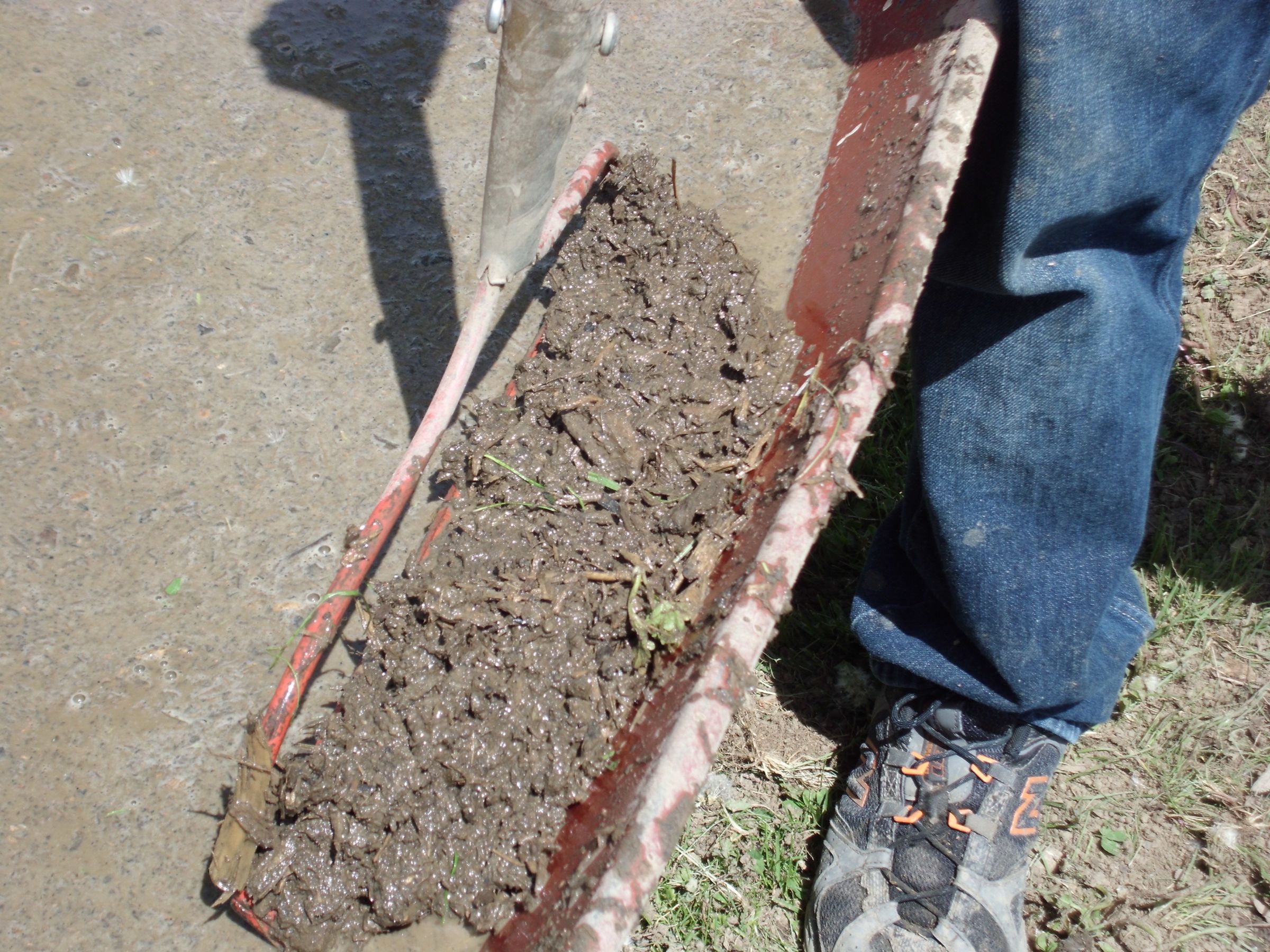 Make Your Own Mulch! (From a Ground-Up Tree Stump) : 7 Steps ...