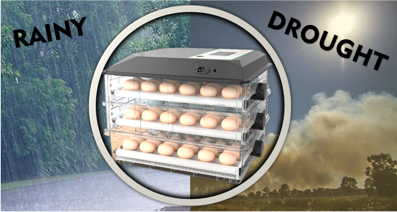 SENKU: Smart Egg Incubator : 10 Steps (with Pictures) - Instructables