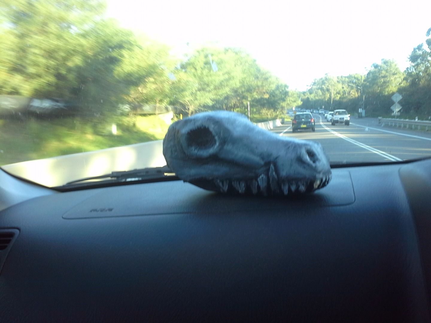 The Dog Skull: a Jugger's Tutorial : 5 Steps - Instructables